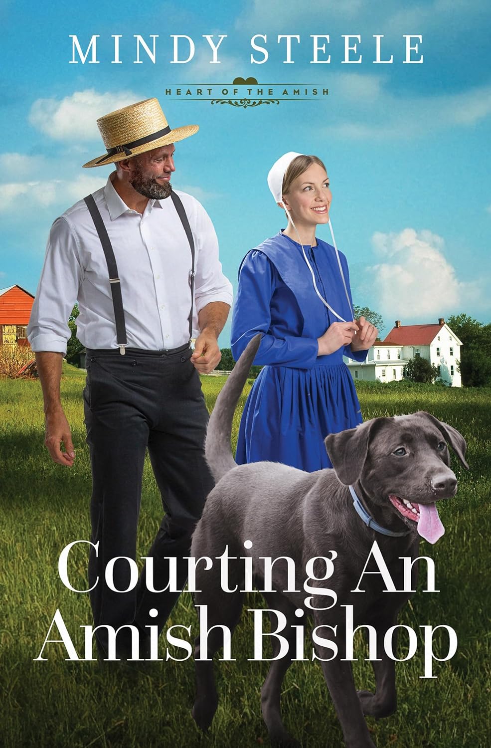Courting an Amish Bishop (Heart of the Amish, #4) by Mindy Steele ...