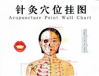 acupuncture point wall chart: Female (of 3) (hardcover) (with manual ...