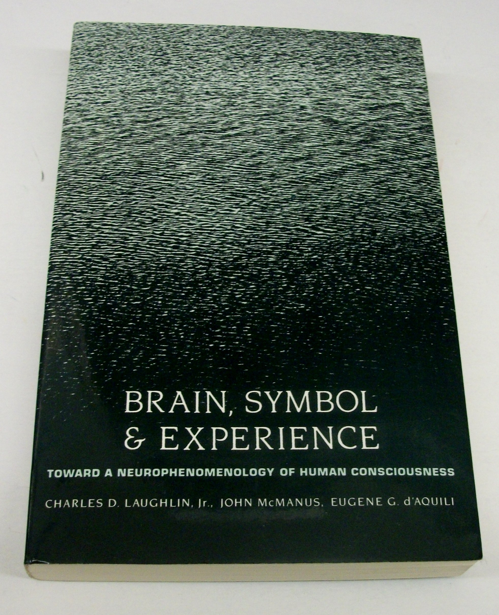 Brain, Symbol & Experience: Towards a Neurophenomenology of Human ...