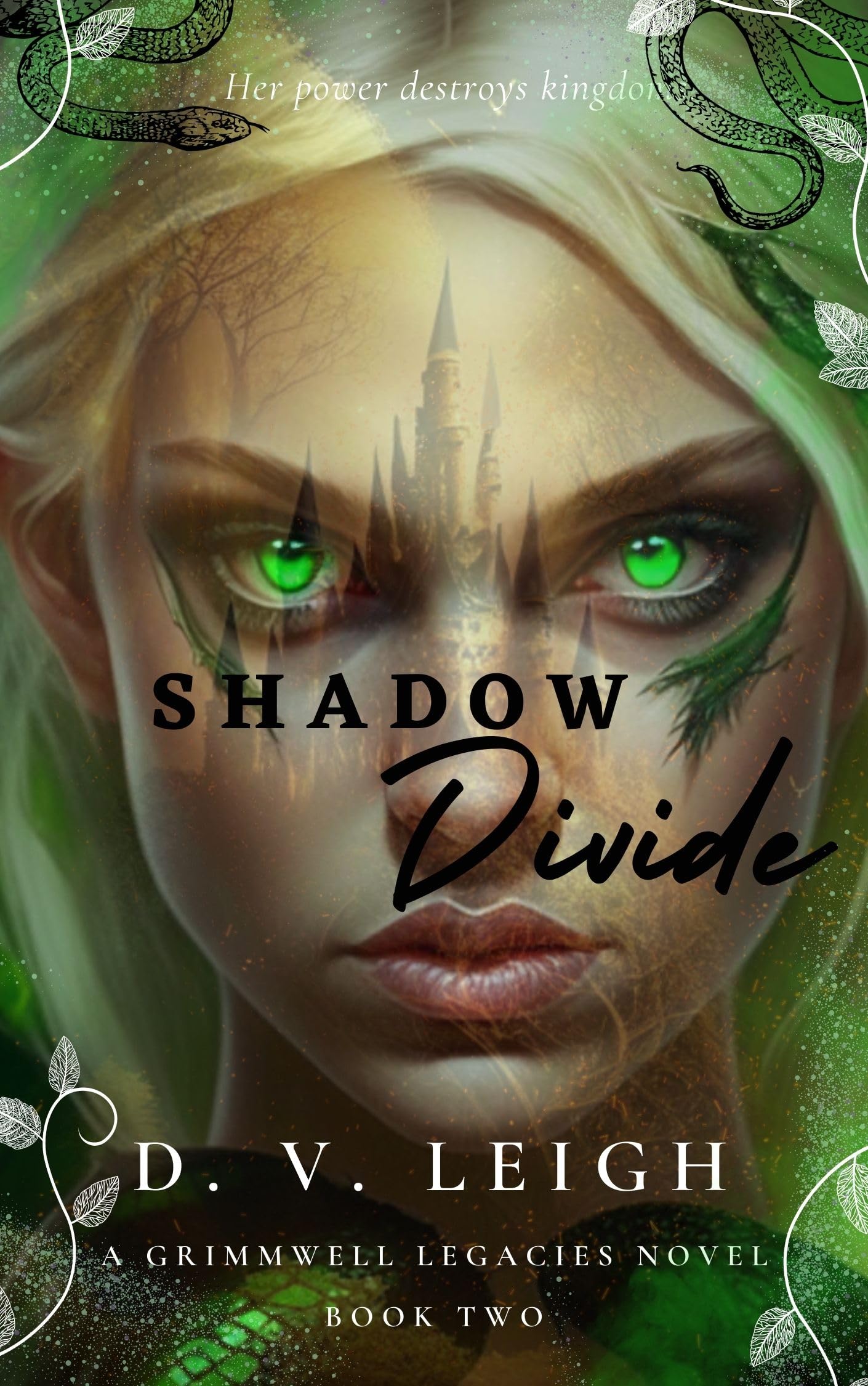 Shadow Divide: A Grimmwell Legacies, Book Two by D Leigh | Goodreads