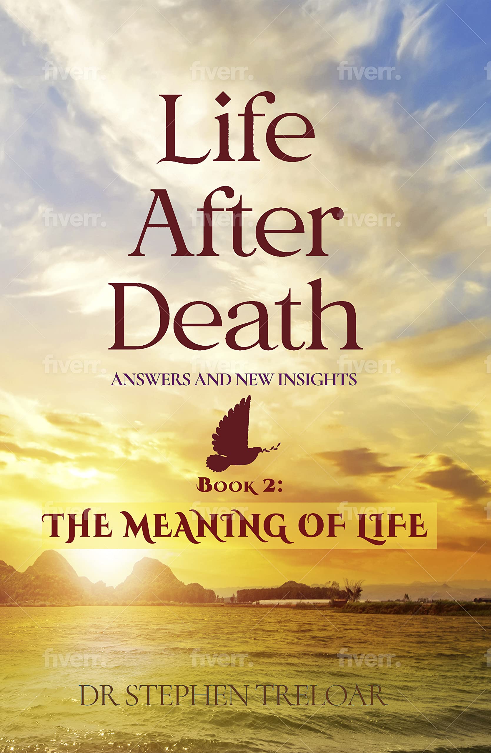 Life After Death - Answers and New Insights: The Meaning of Life - Book ...