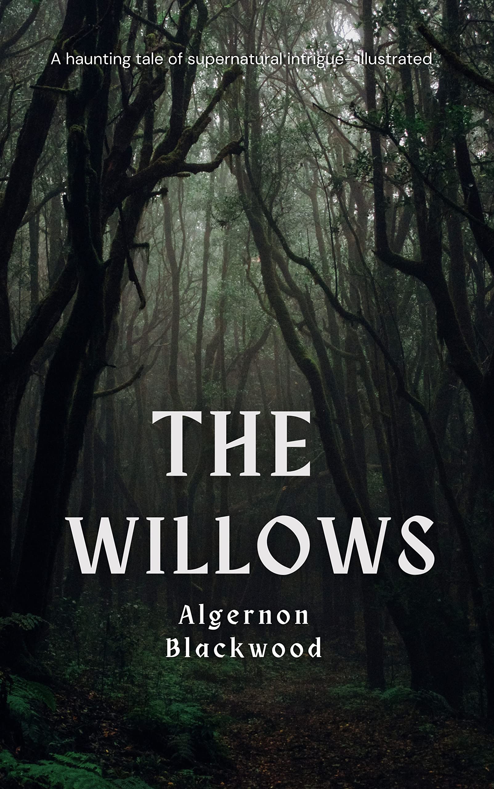 The Willows: A Haunting Tale of Supernatural Intrigue with author ...