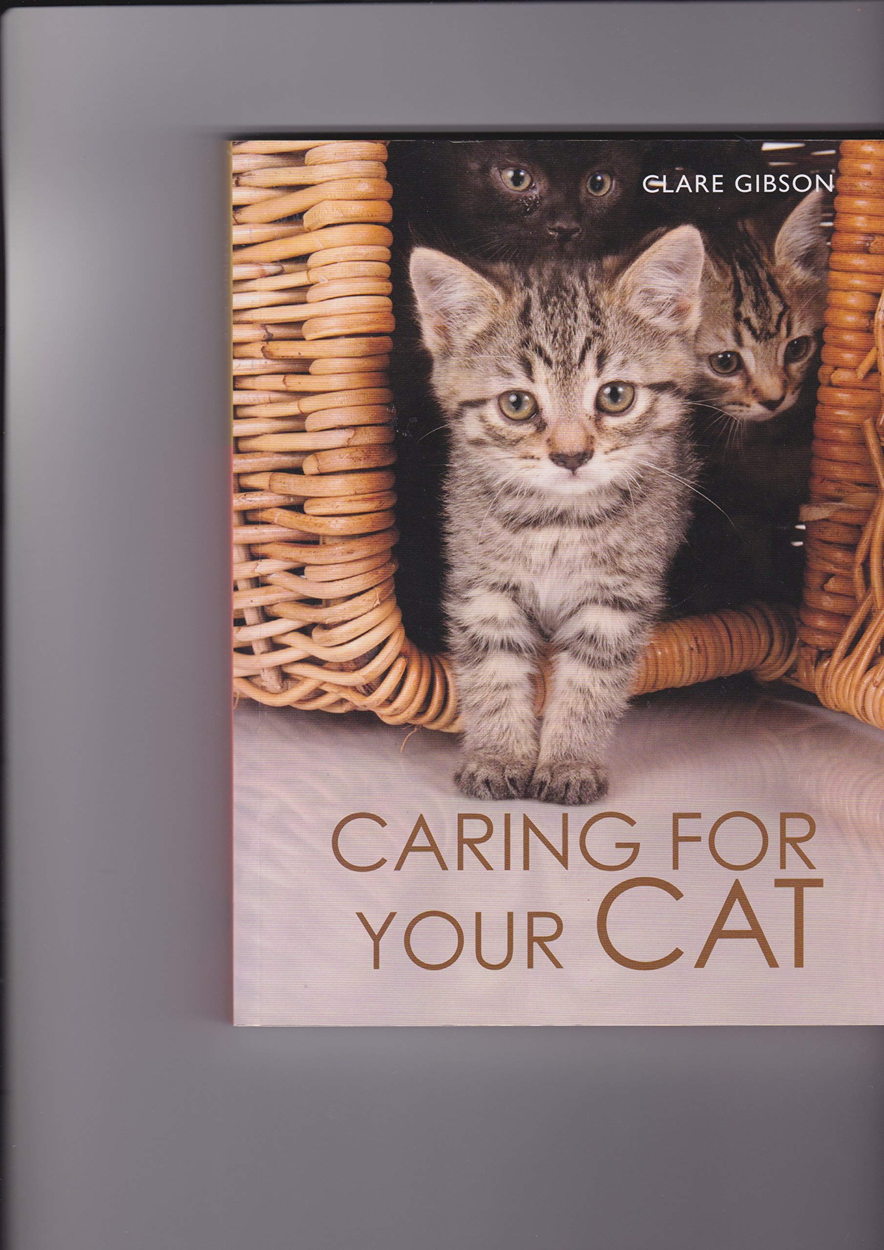 Caring for your Cat by Clare Gibson | Goodreads
