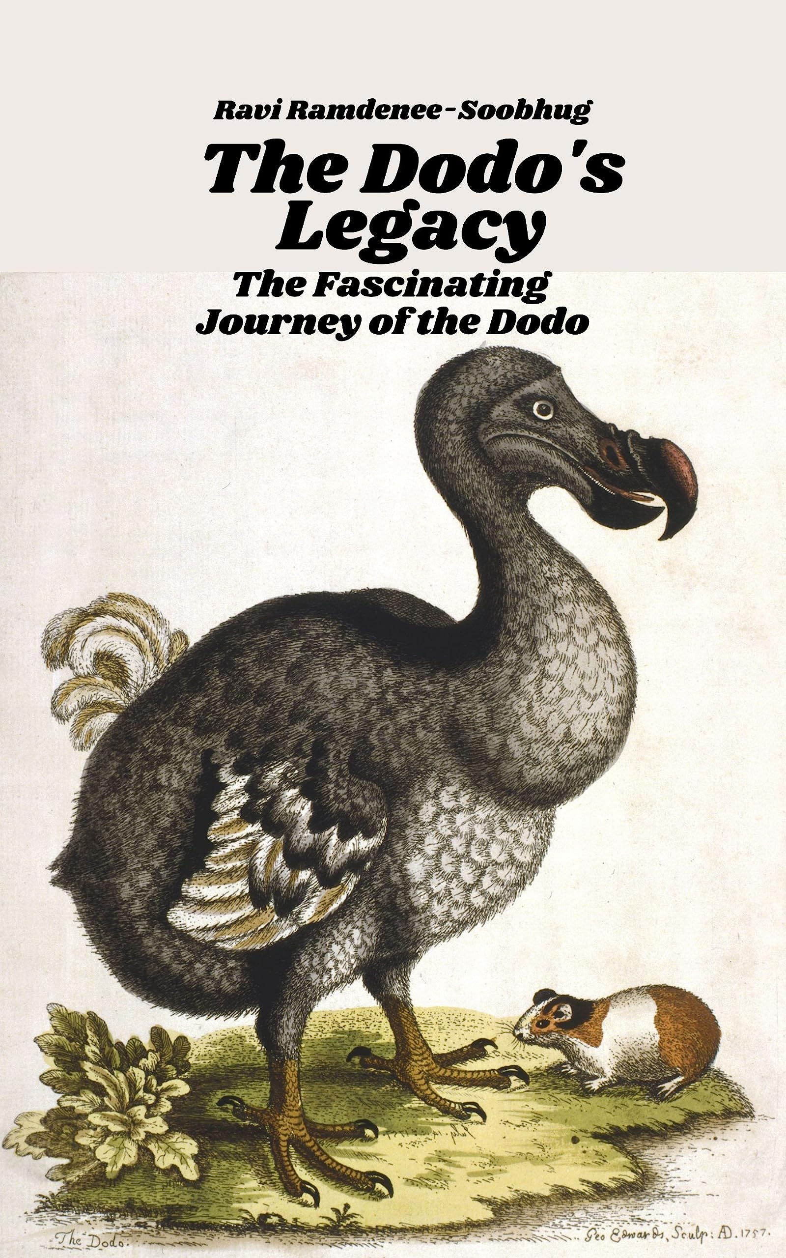 The Dodo's Legacy: The Fascinating Journey of the Dodo by Ravi Ramdenee ...