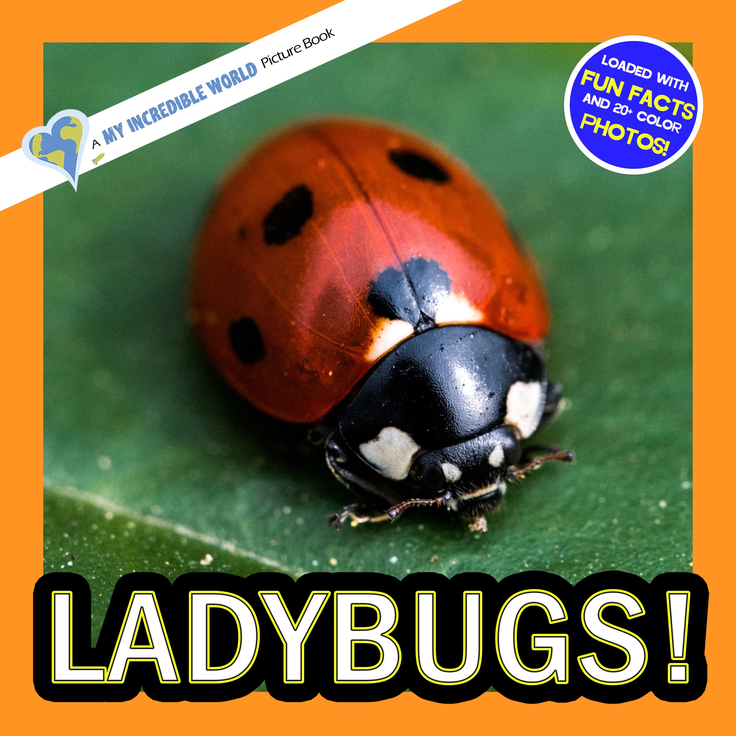 Ladybugs!: A My Incredible World Picture Book for Children by Hope ...