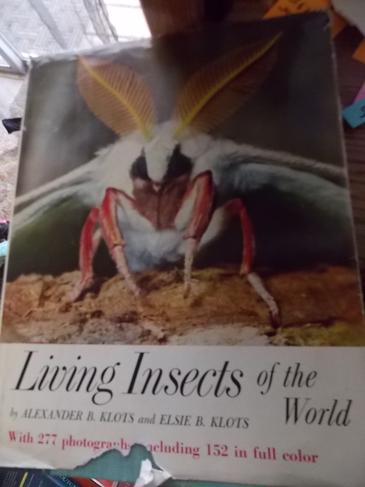Living Insects of the World by Alexander B. Klots | Goodreads