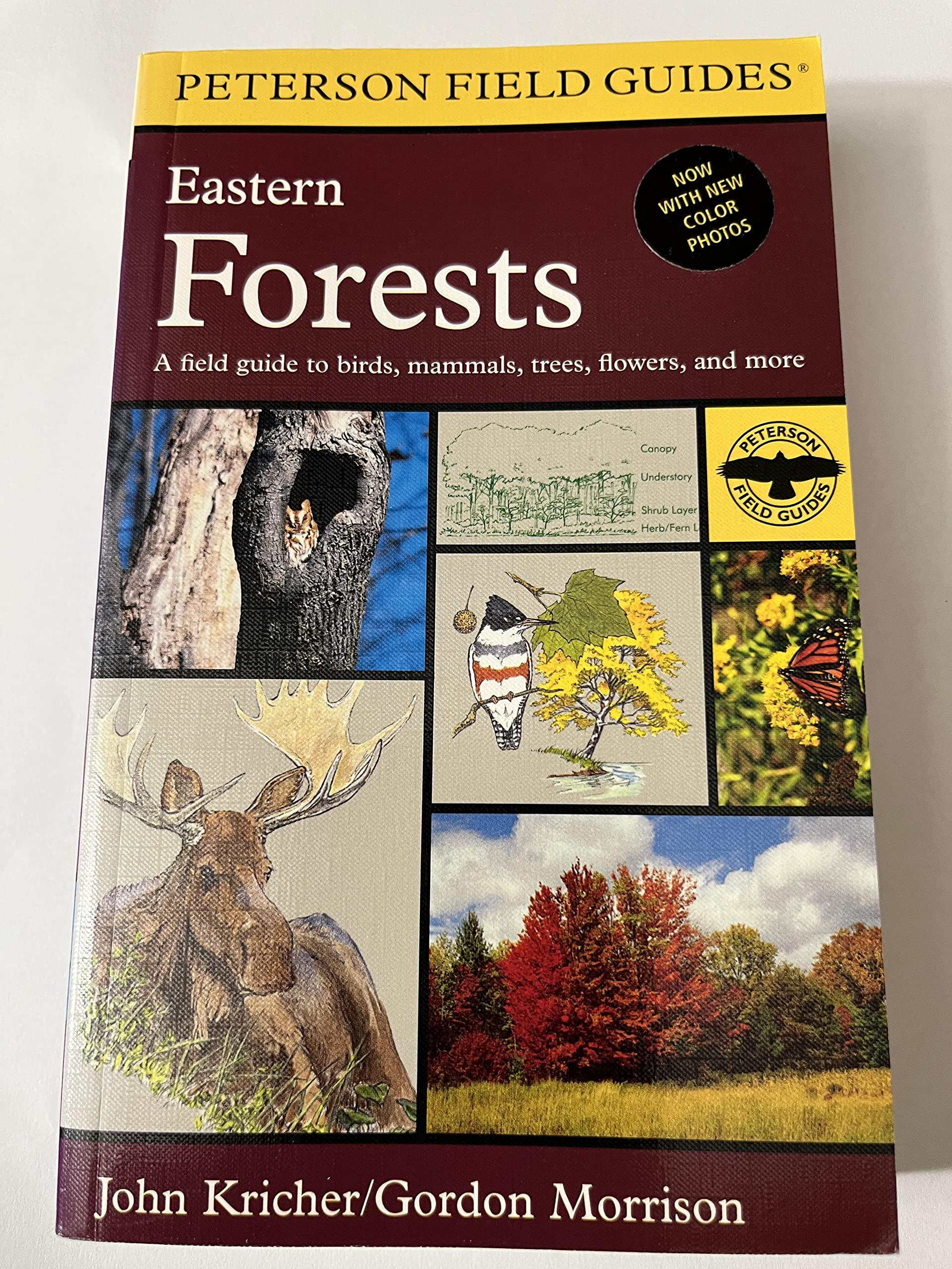 A Peterson Field Guide to Eastern Forests: North America by John ...