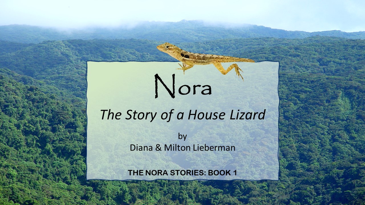 Nora: The Story of a House Lizard by Diana Lieberman | Goodreads