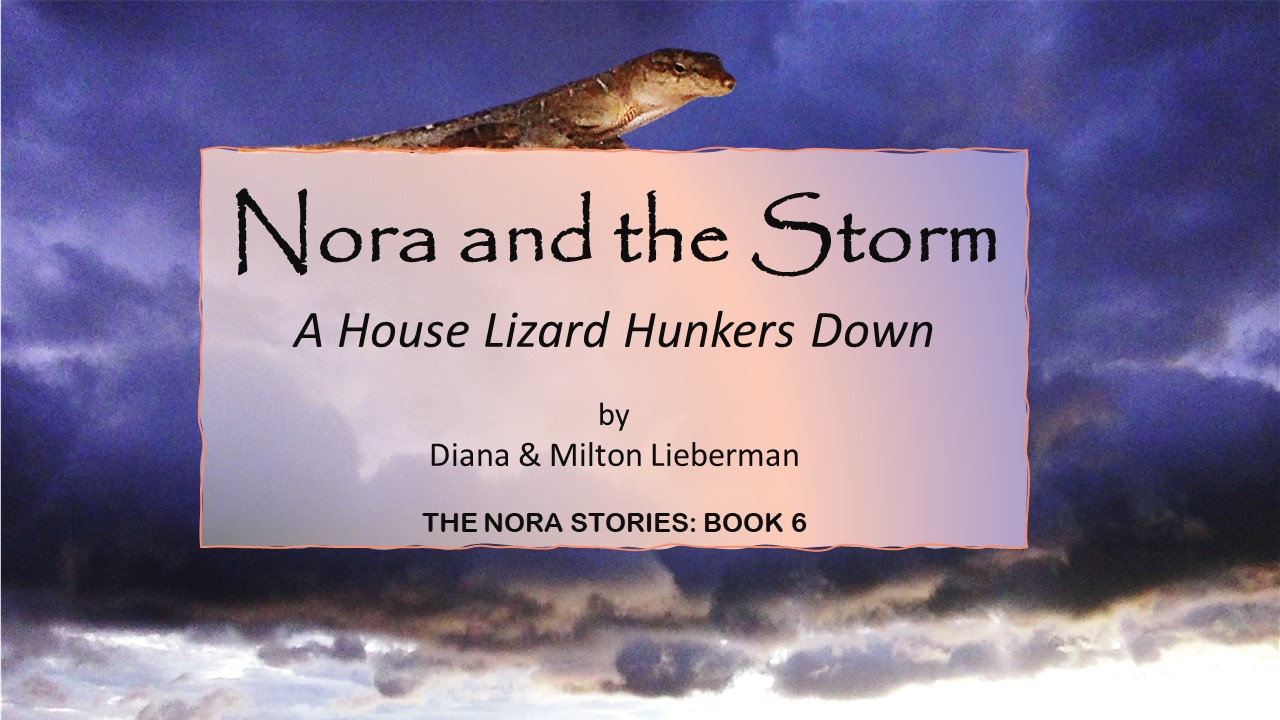 Nora and the Storm: A House Lizard Hunkers Down by Diana Lieberman ...