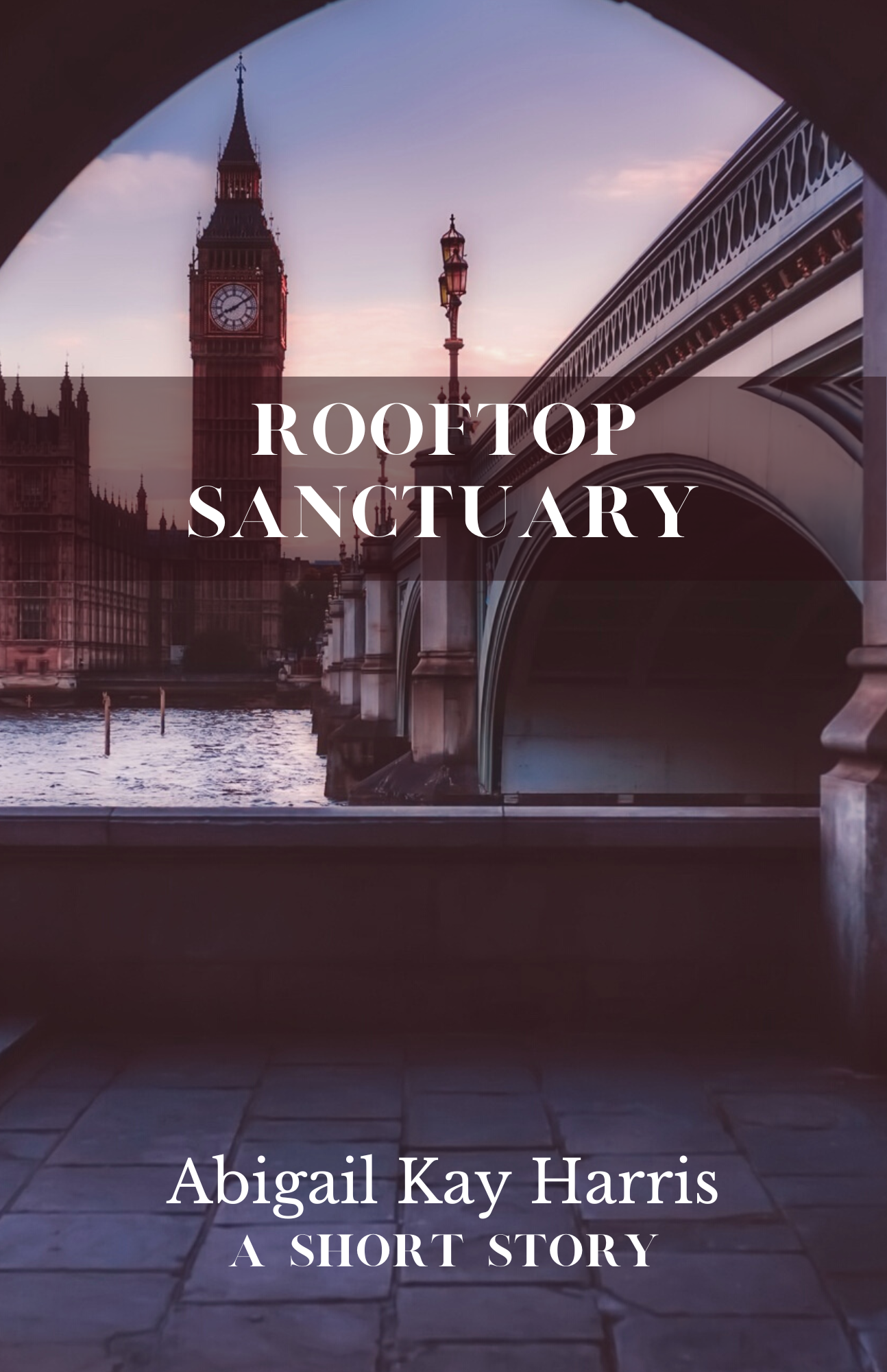Rooftop Sanctuary by Abigail Kay Harris | Goodreads