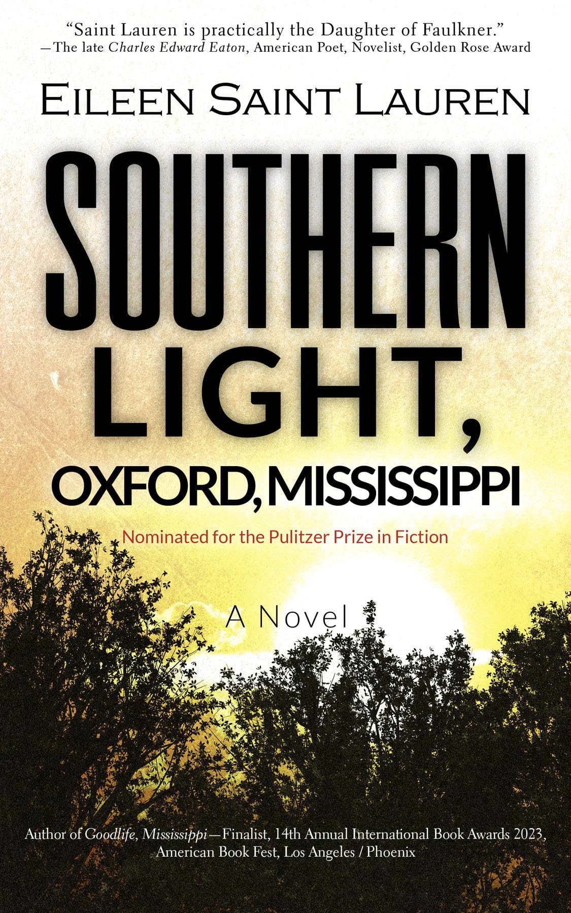 Southern Light, Oxford, Mississippi by Eileen Saint Lauren | Goodreads
