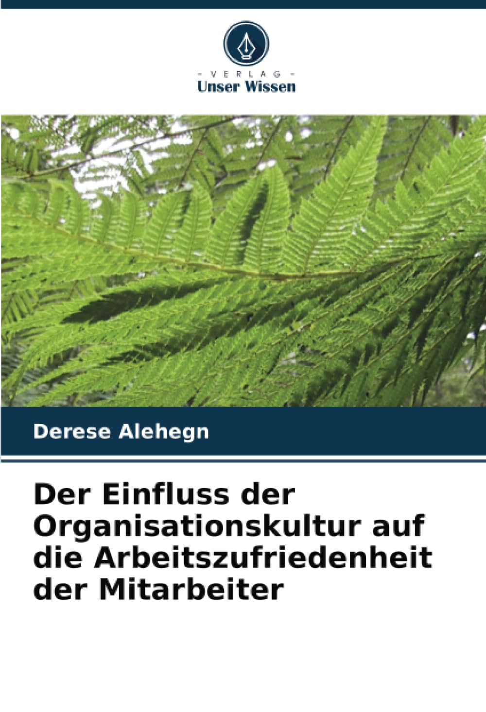 Der Einfluss der Organisationskultur auf die Arbeitszufriedenheit der ...