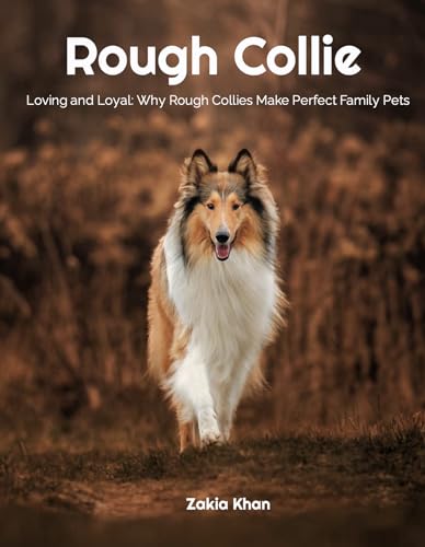 Rough Collie: Loving and Loyal: Why Rough Collies Make Perfect Family ...