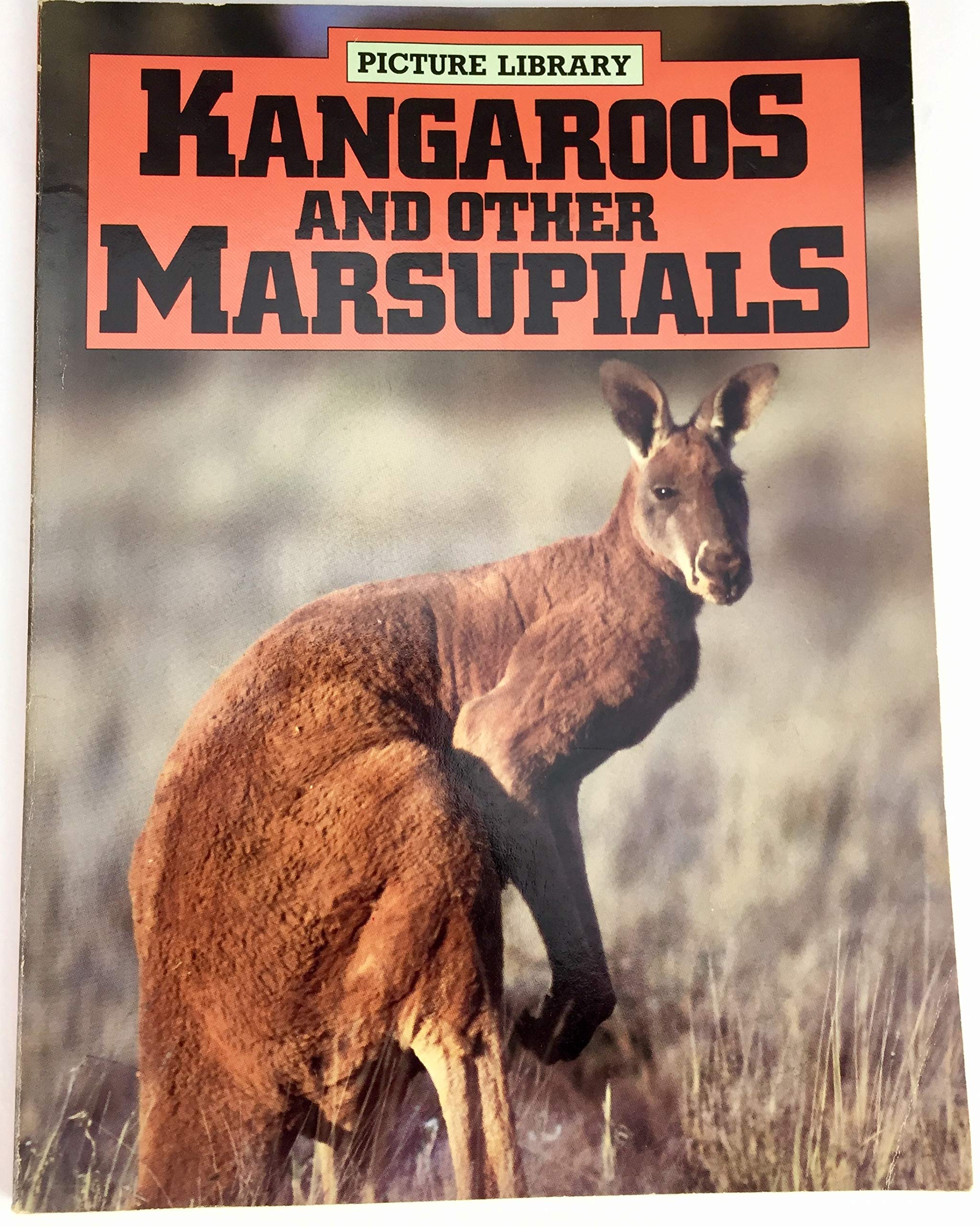 Kangaroos and Other Marsupials (Picture Library) by Norman S. Barrett ...