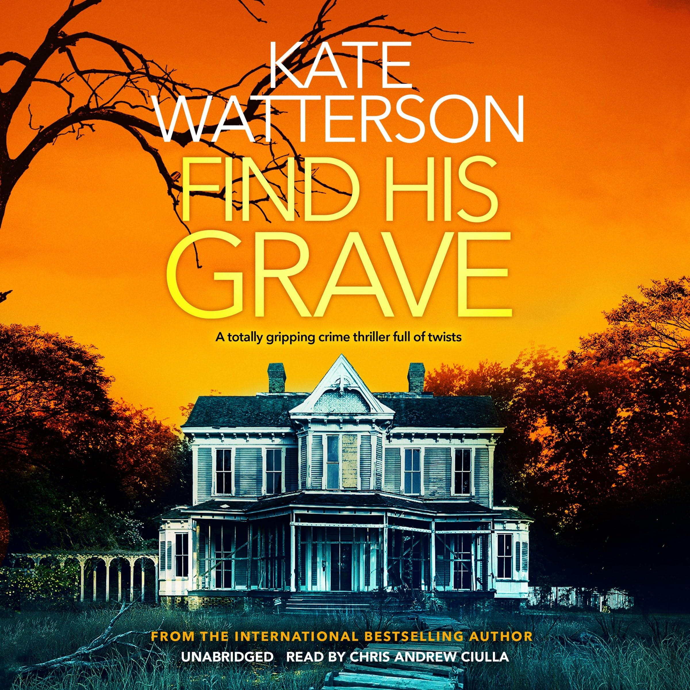 Find His Grave (The Detective Chris Bailey Series) by Kate Watterson ...