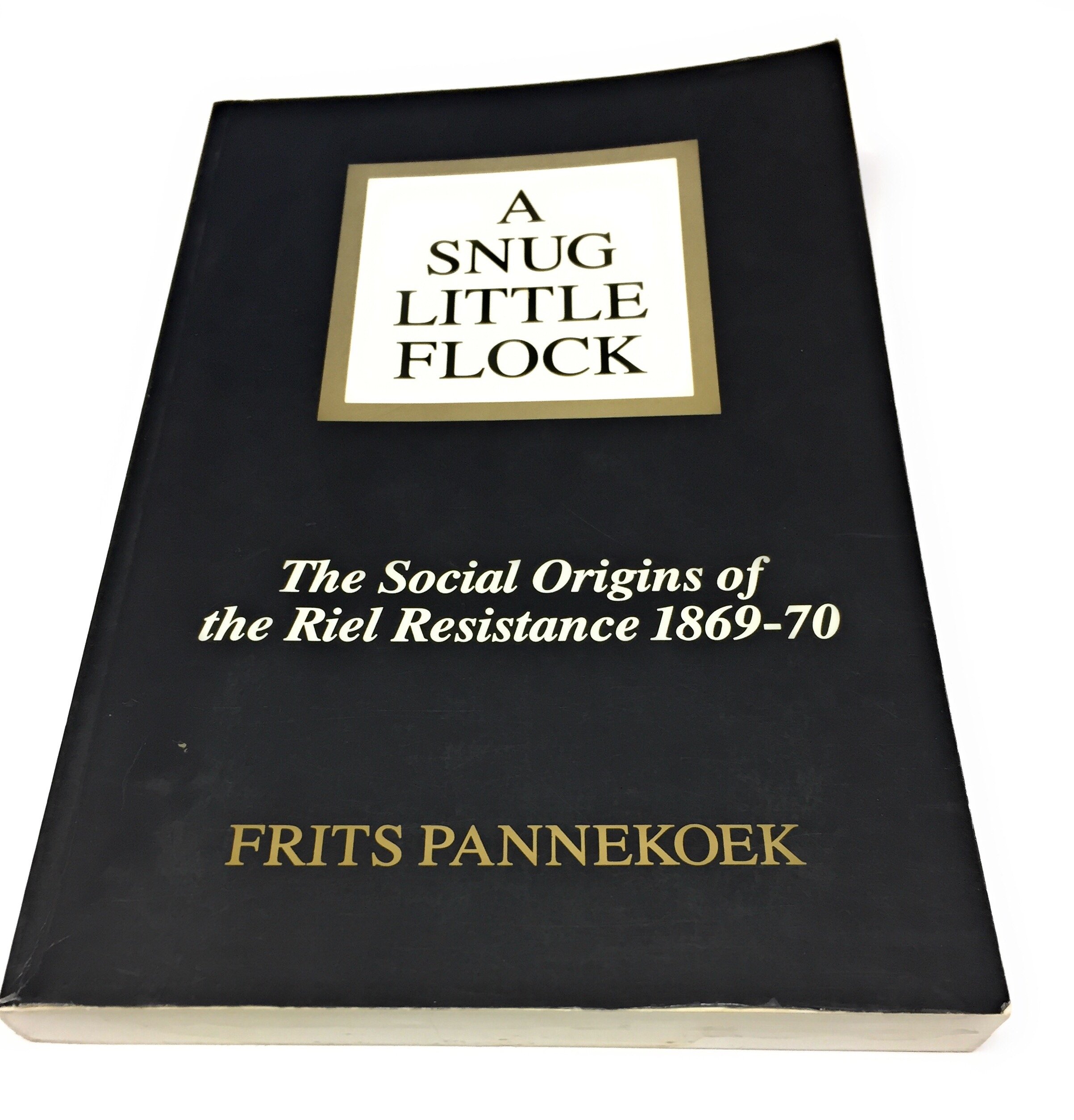 A Snug Little Flock: The Social Origins of the Riel Resistance of 1869 ...