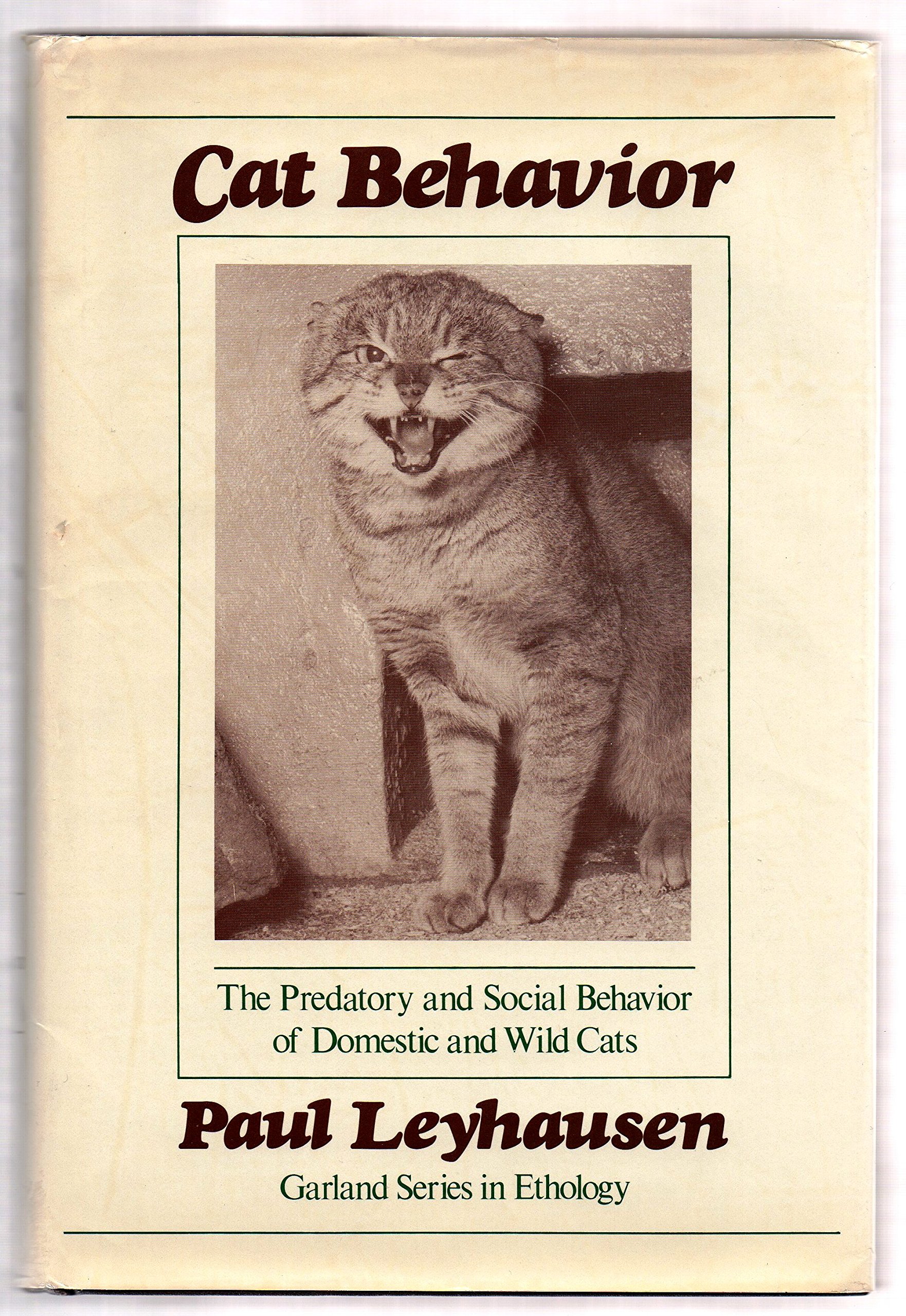 Cat Behavior: The Predatory and Social Behavior of Domestic and Wild ...
