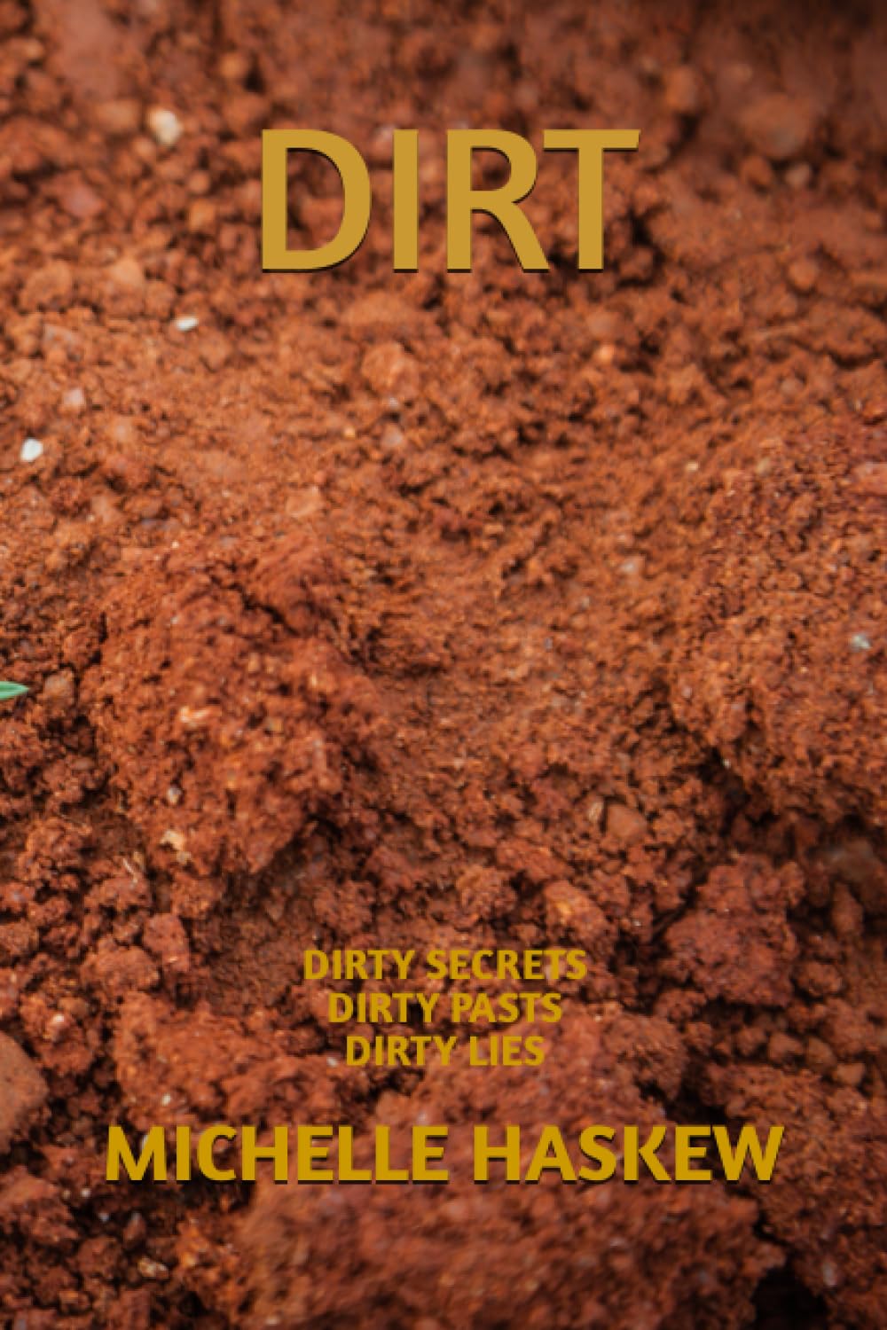 DIRT: DIRTY SECRETS DIRTY PASTS DIRTY LIES by Michelle Haskew | Goodreads