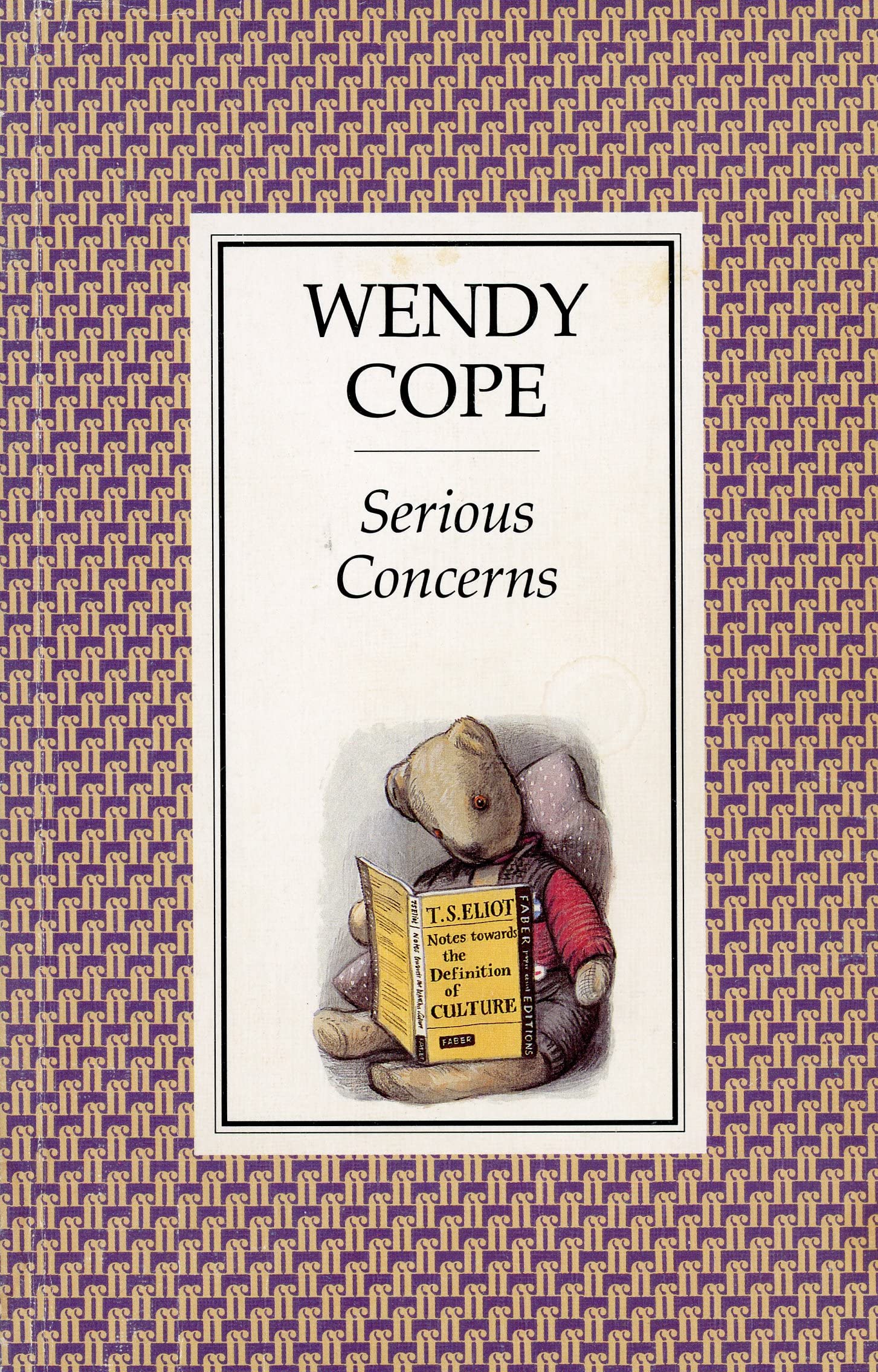 [ SERIOUS CONCERNS ] By Cope, Wendy ( AUTHOR ) Jan-1998[ Paperback ] by ...