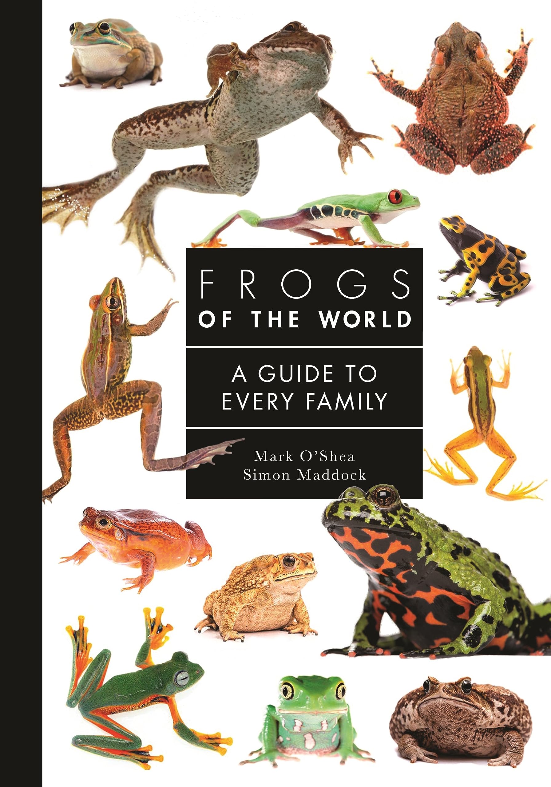 Frogs of the World: A Guide to Every Family by Mark O'Shea | Goodreads