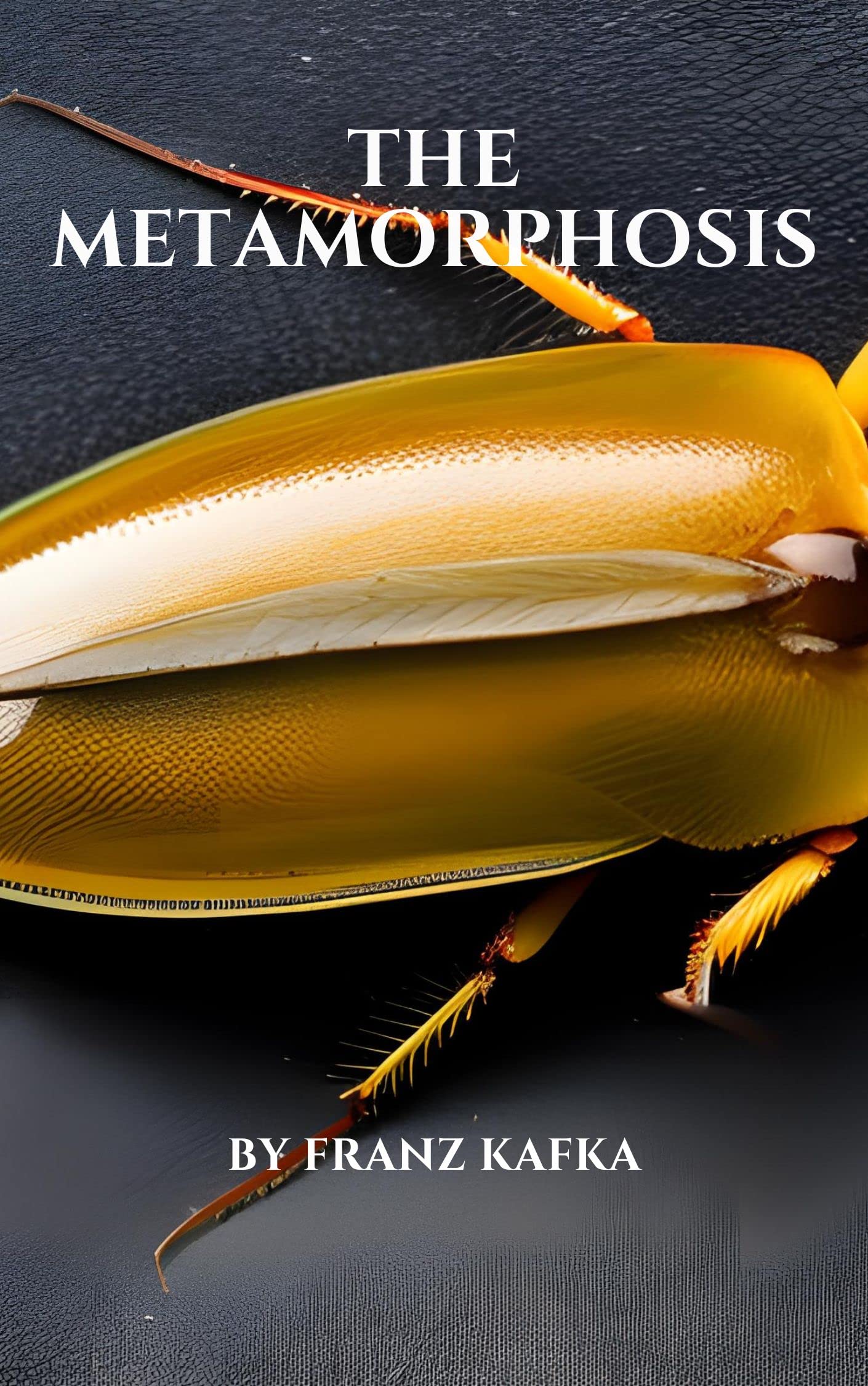 The Metamorphosis by Kafka by Franz Kafka | Goodreads