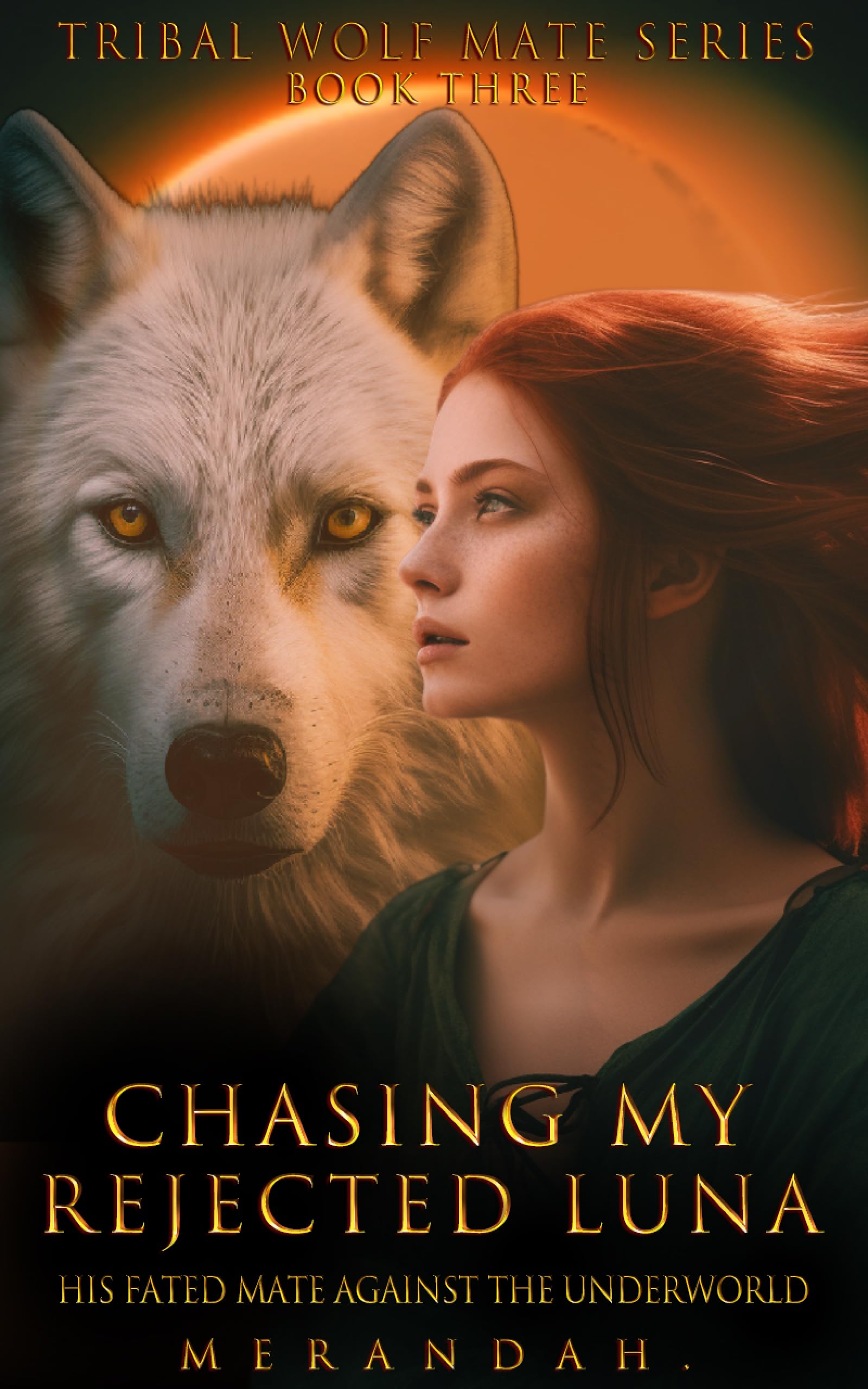 Chasing My Rejected Luna: His Fated Mate Against the Underworld by MerandaH. | Goodreads