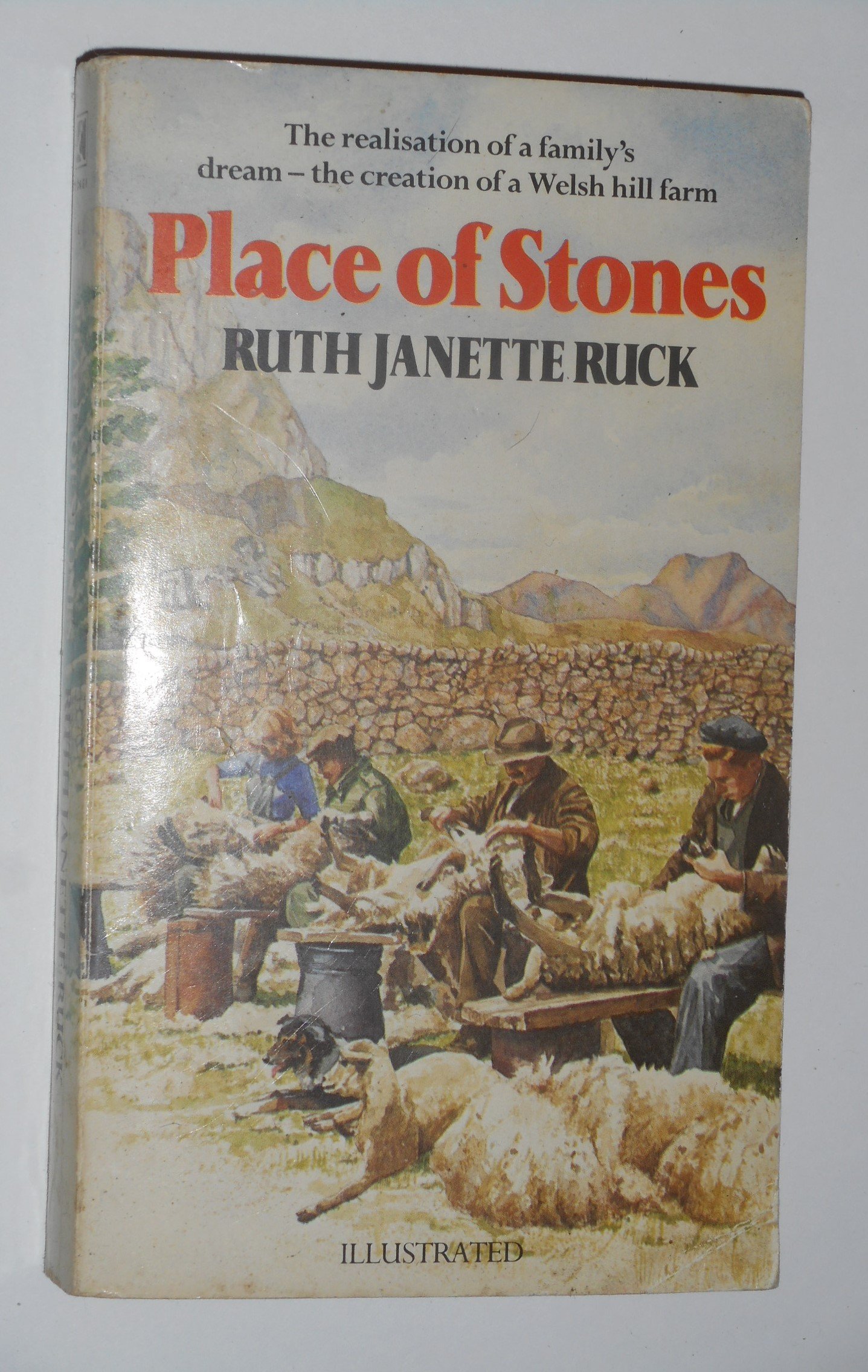 Place Of Stones by Ruth Janette Ruck | Goodreads
