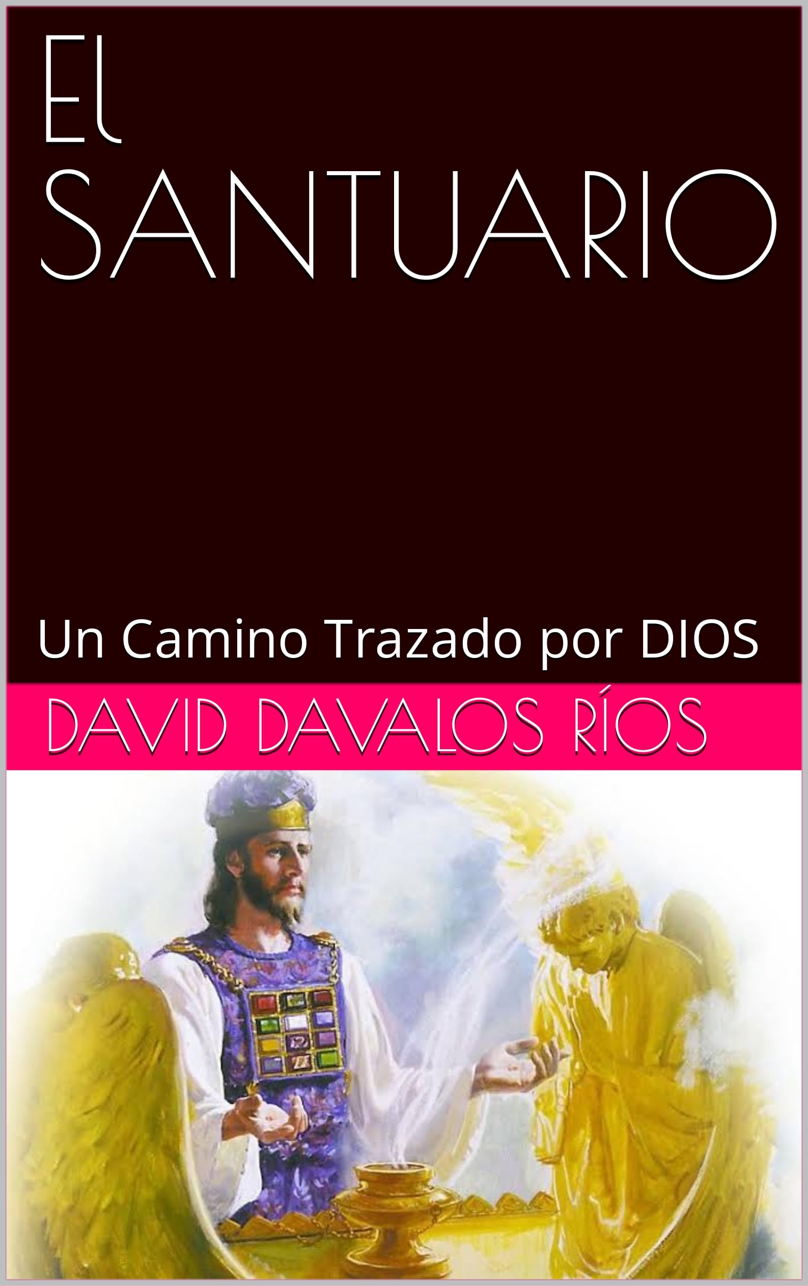 El SANTUARIO : Un Camino Trazado por DIOS by David Davalos Ríos | Goodreads