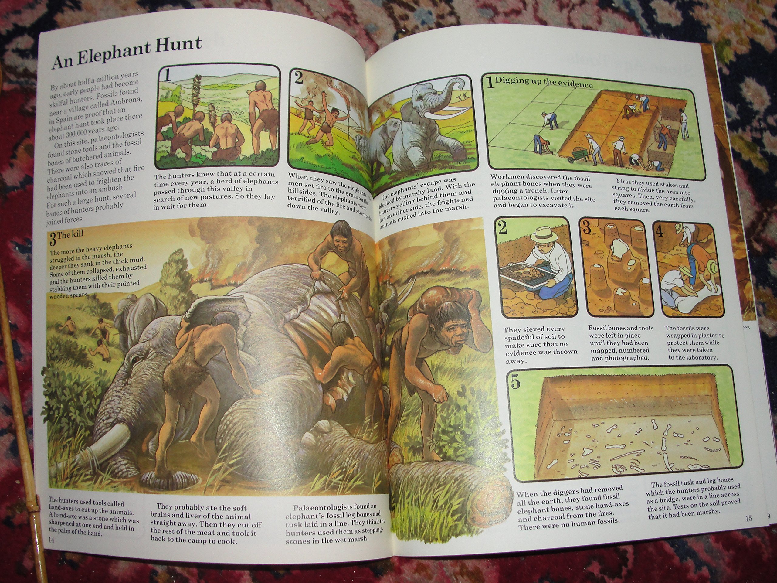 Early Man (The children's picture prehistory) by Anne McCord | Goodreads