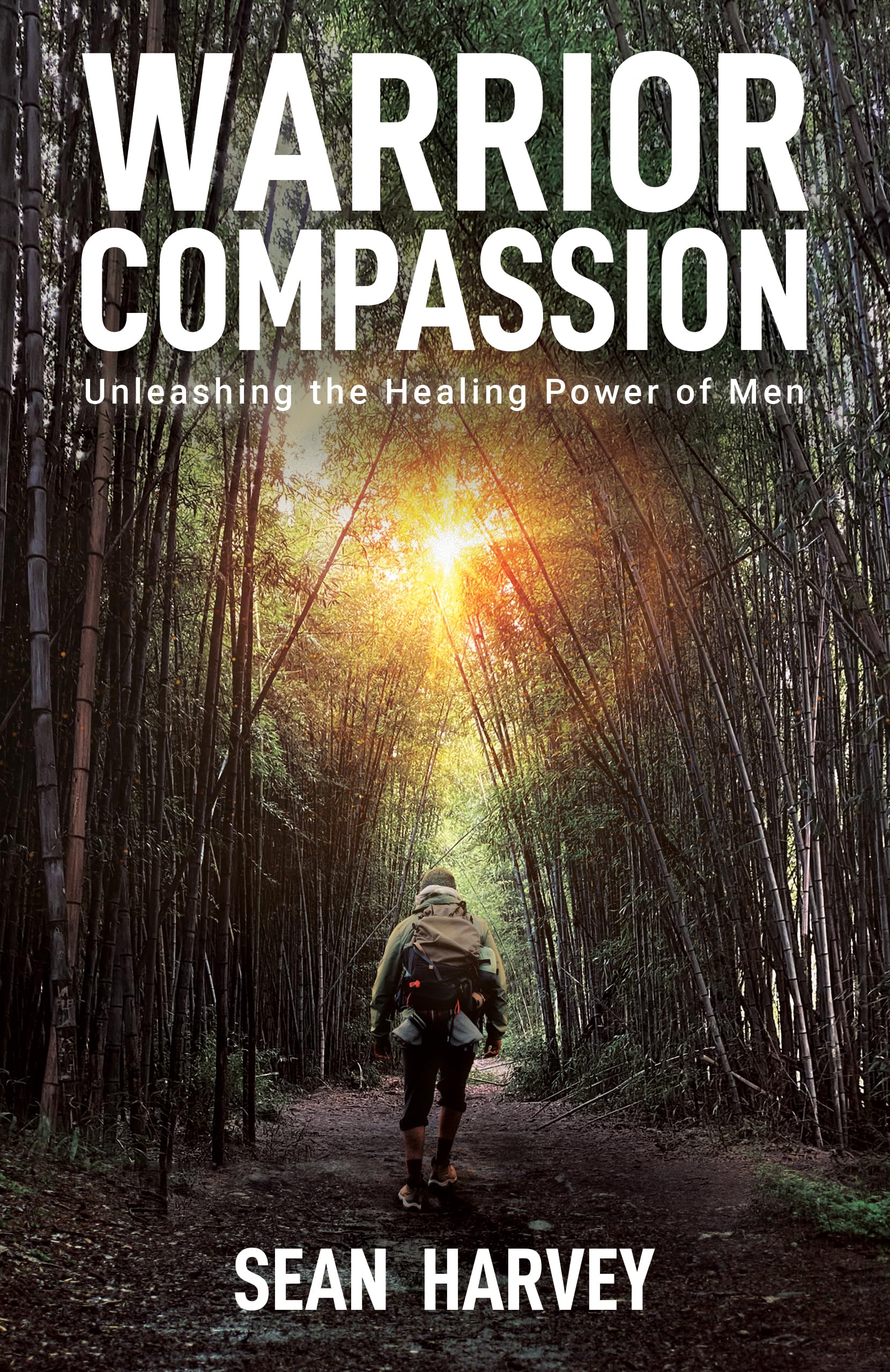 Warrior Compassion: Unleashing the Healing Power of Men by Sean Harvey | Goodreads