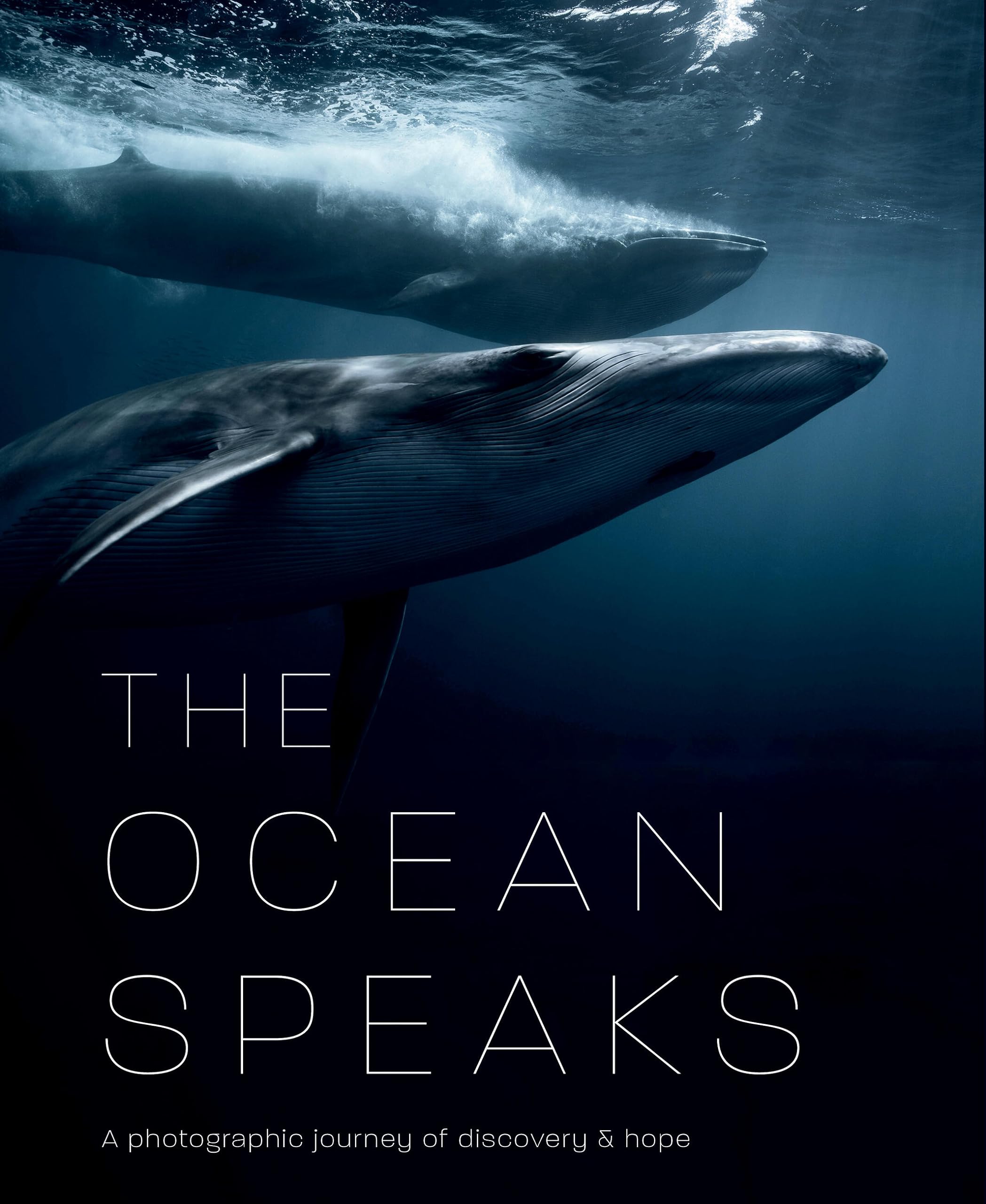 The Ocean Speaks: A photographic journey of discovery and hope by Matt ...