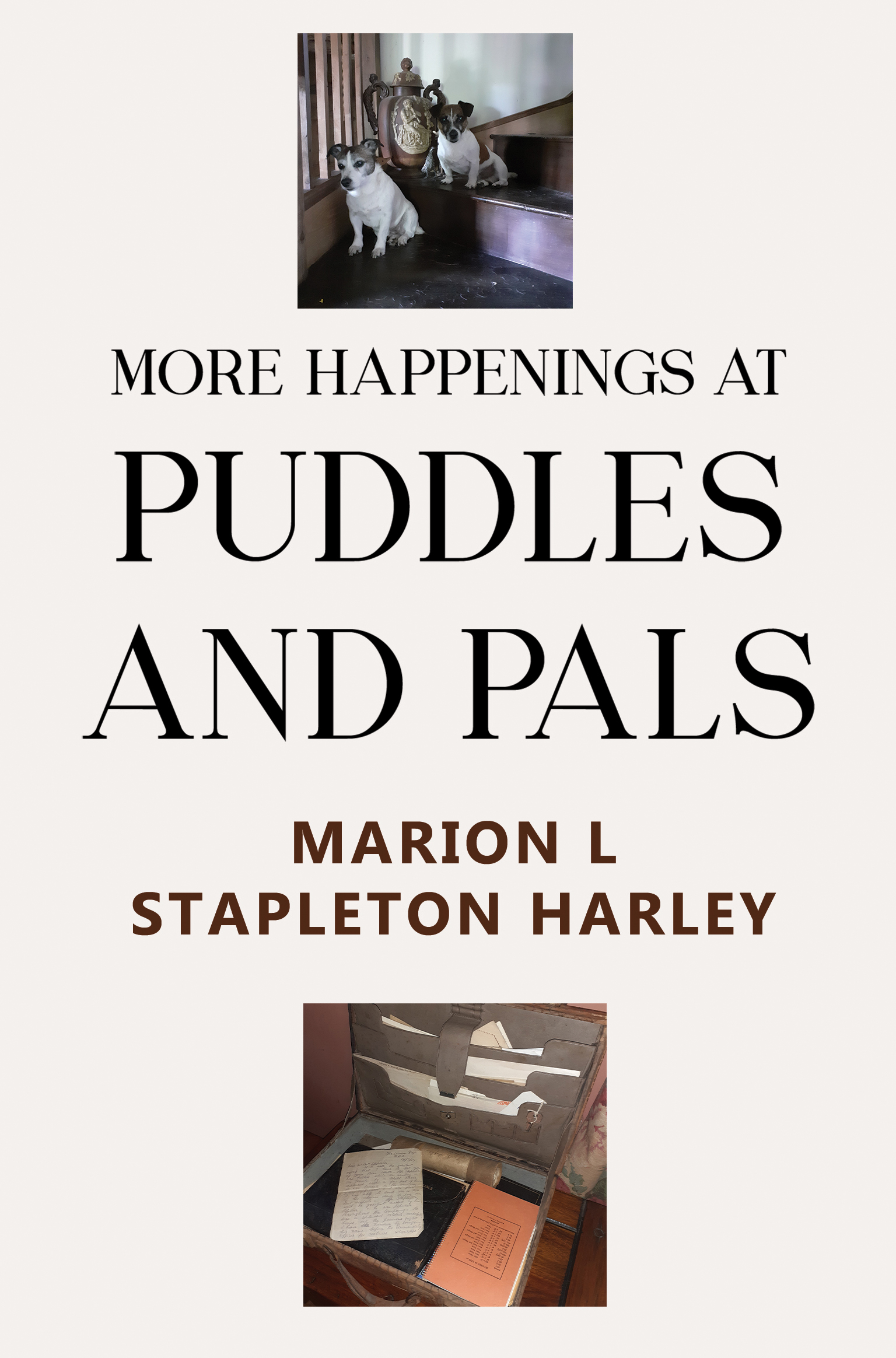 More Happenings at PUDDLES AND PALS by Marion L Stapleton Harley | Goodreads