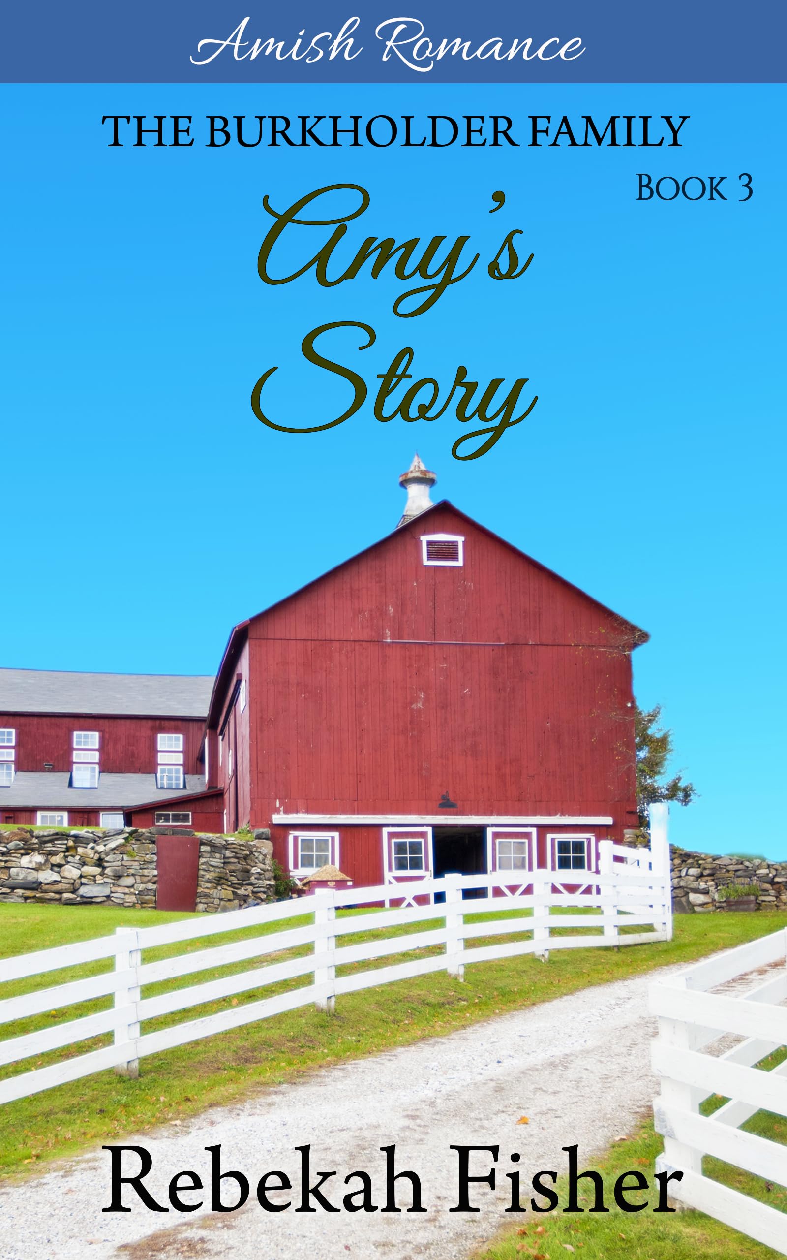 Amy's Story: A Sweet Amish Romance Series by Rebekah Fisher | Goodreads