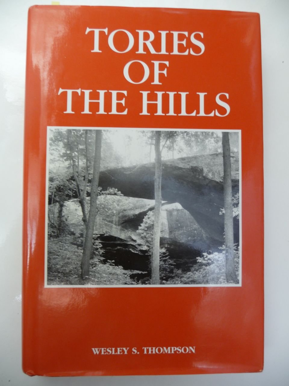 TORIES OF THE HILLS Civil War Centennial Edition by Wesley Sylvester ...