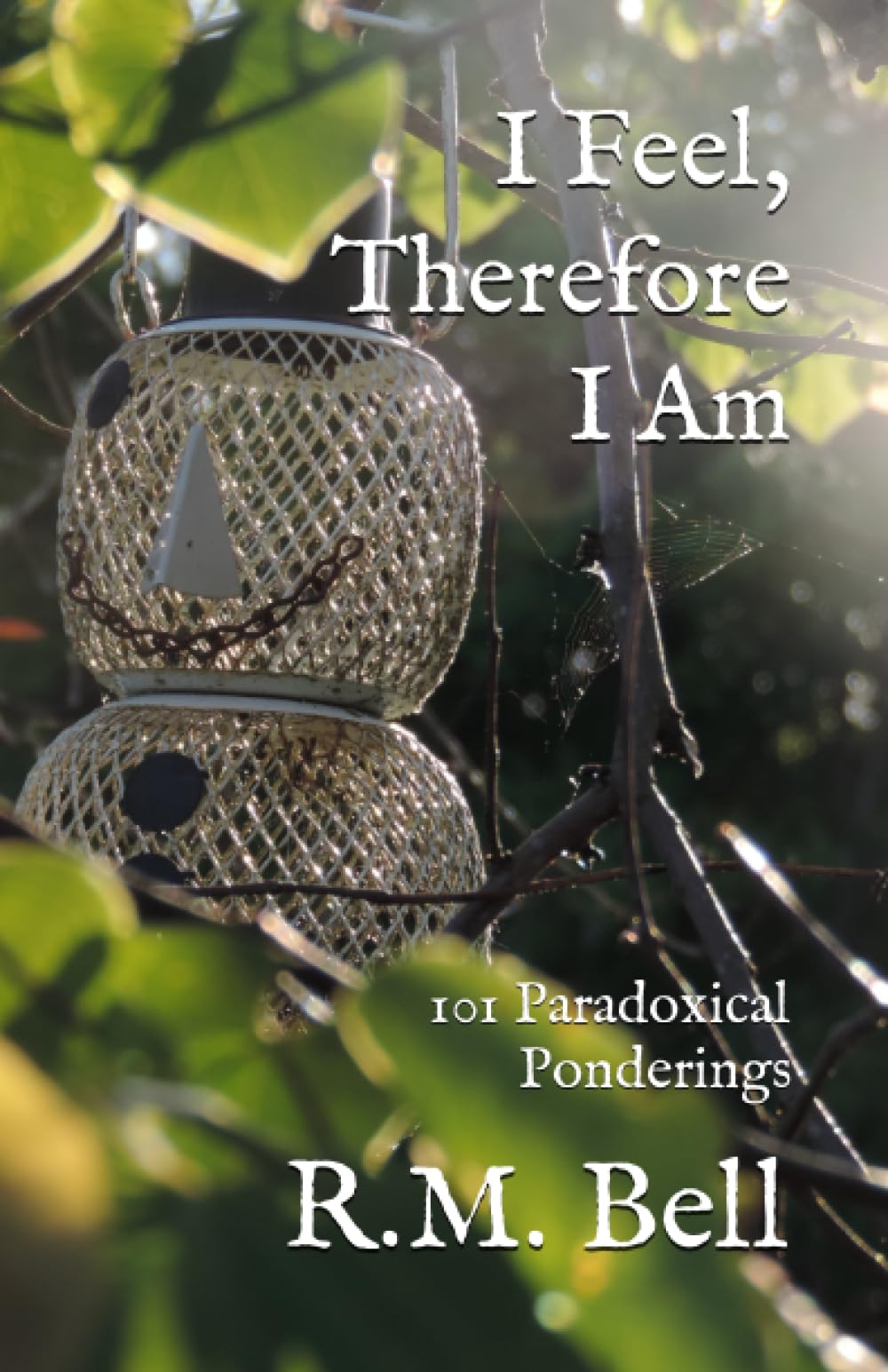 I Feel, Therefore I Am: 101 Paradoxical Ponderings by R.M. Bell | Goodreads