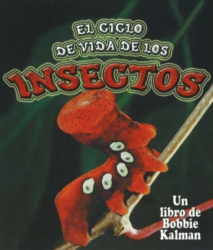 El Ciclo de Vida de los Insectos (Mundo de los Insectos) (Spanish ...