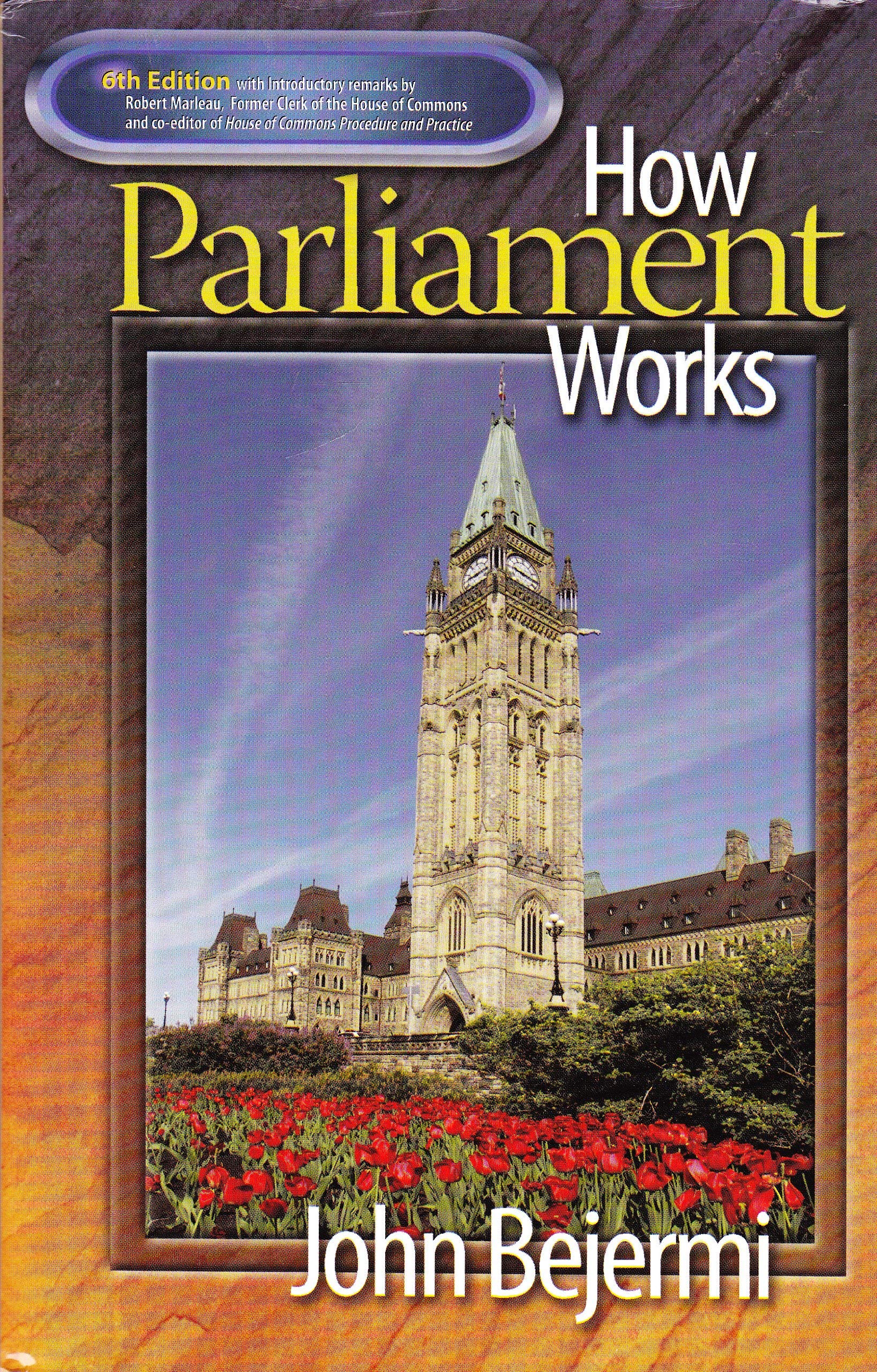 How Parliament Works by John Zeyad Bejermi | Goodreads