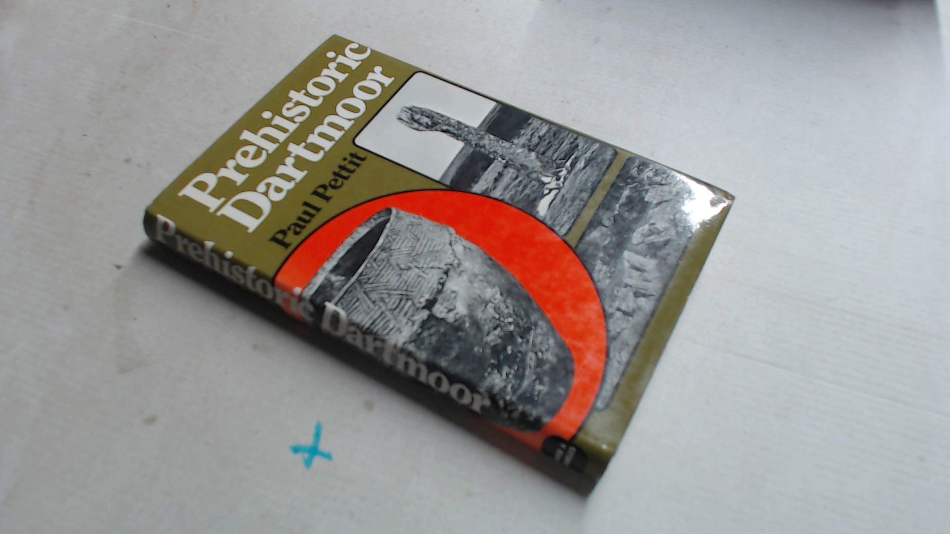 Prehistoric Dartmoor by Paul Pettitt | Goodreads