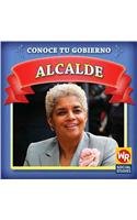 Conoce tu gobierno/ Know Your Government by Jacqueline Laks Gorman ...
