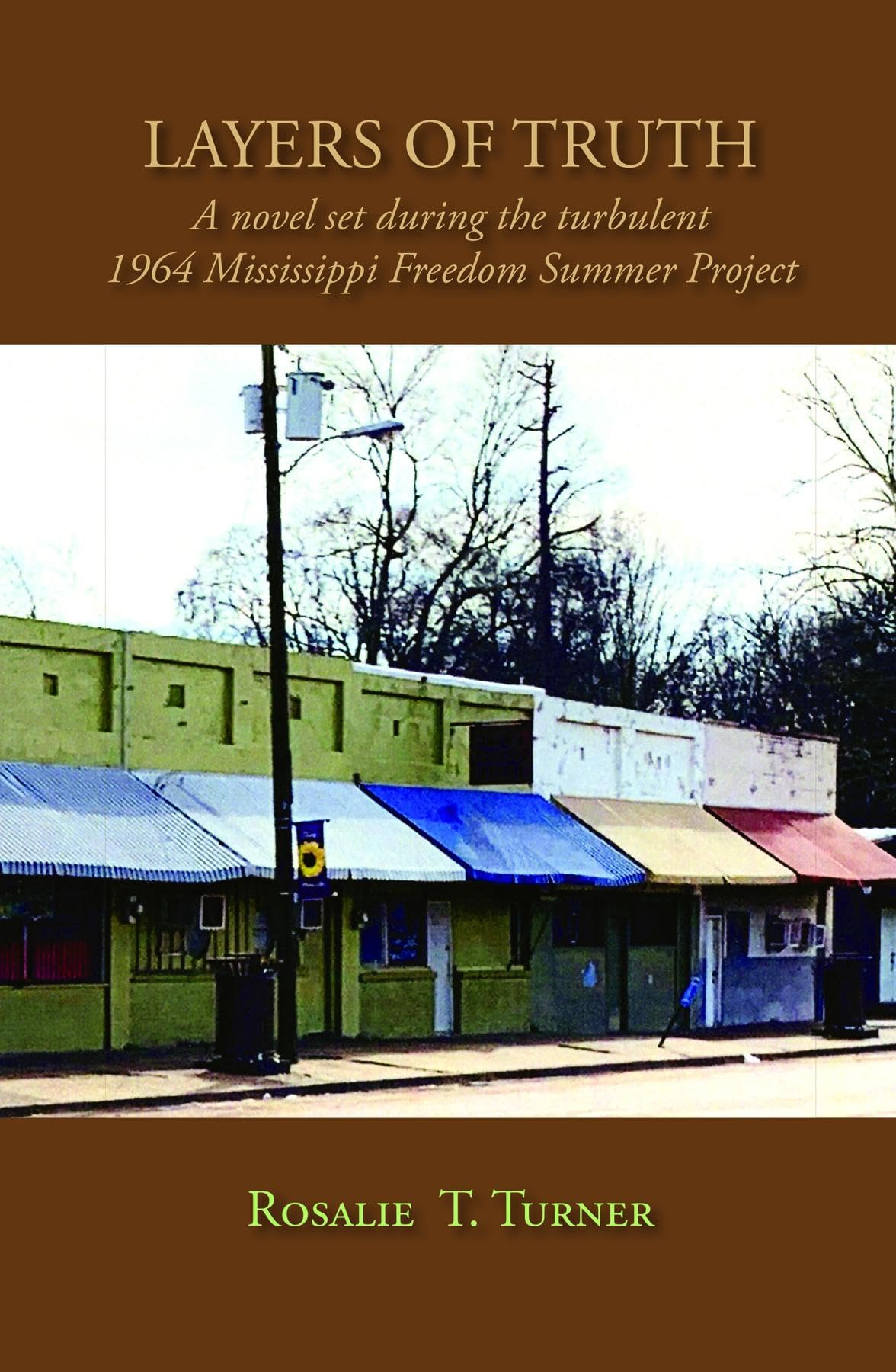 Layers of Truth: A Novel Set During the Turbulent 1964 Mississippi ...
