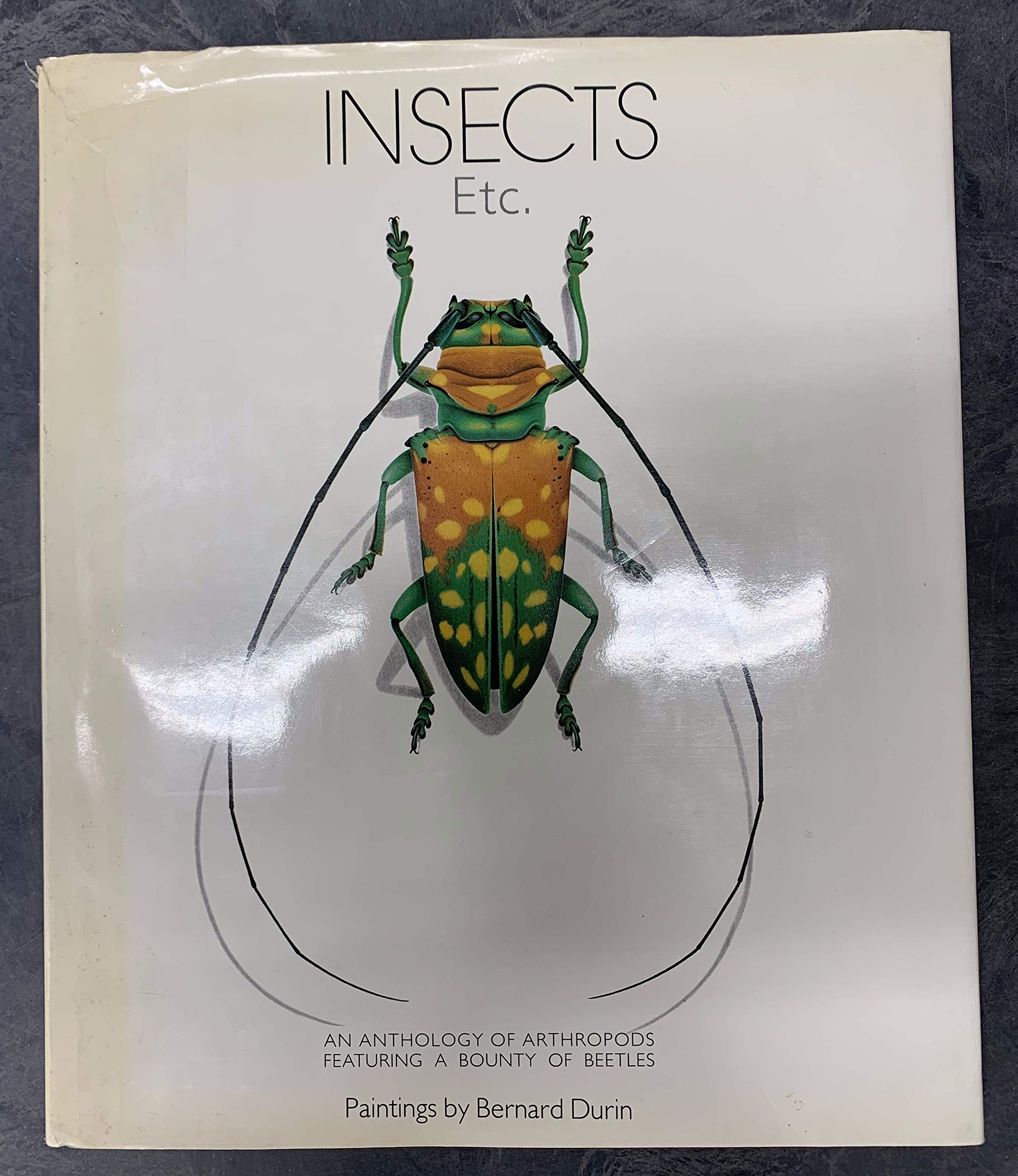 Insects Etc: An Anthology of Arthropods Featuring a Bounty of Beetles ...