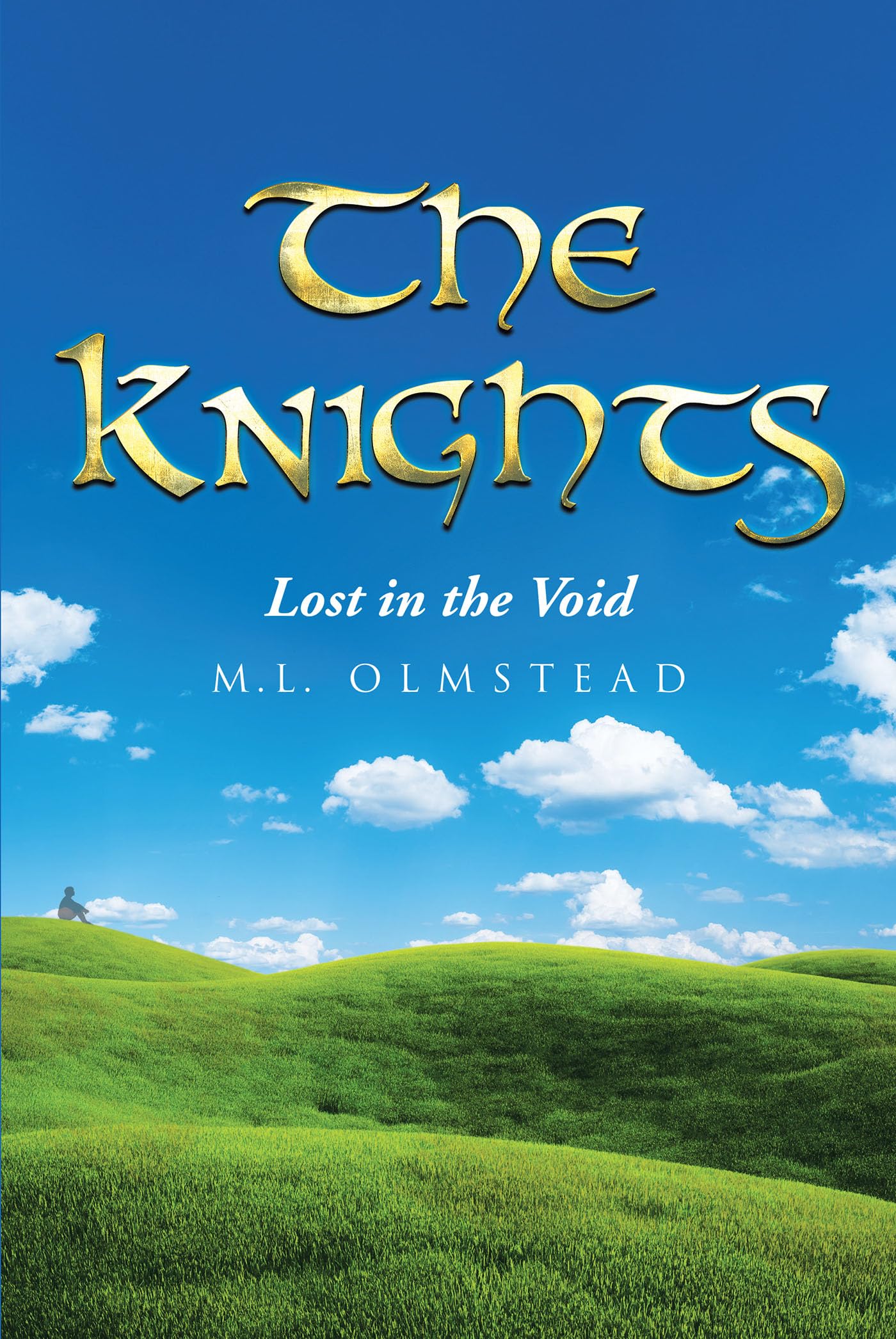 The Knights: LOST IN THE VOID by M.L. Olmstead | Goodreads