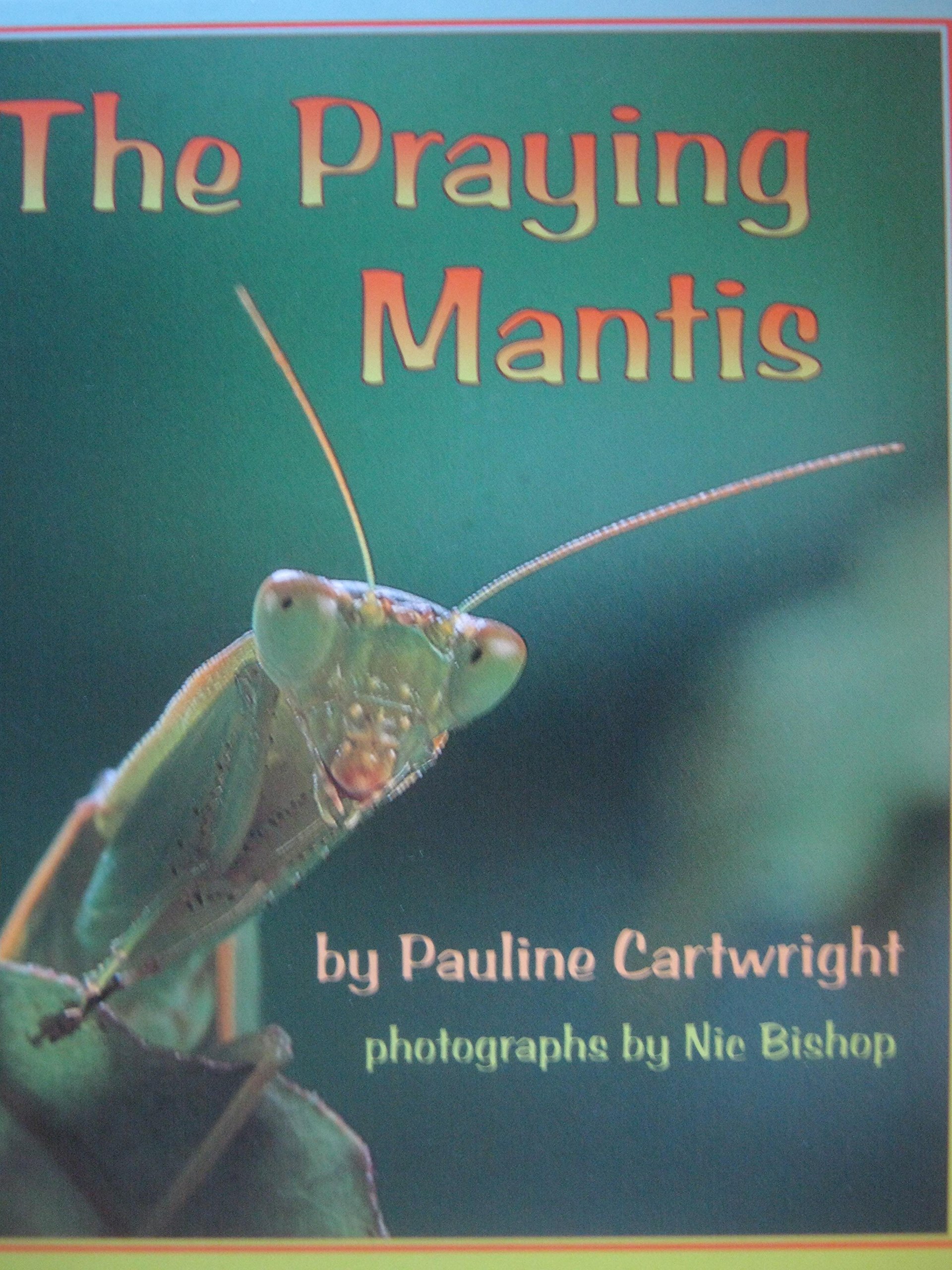 The Praying Mantis by Pauline Cartwright | Goodreads