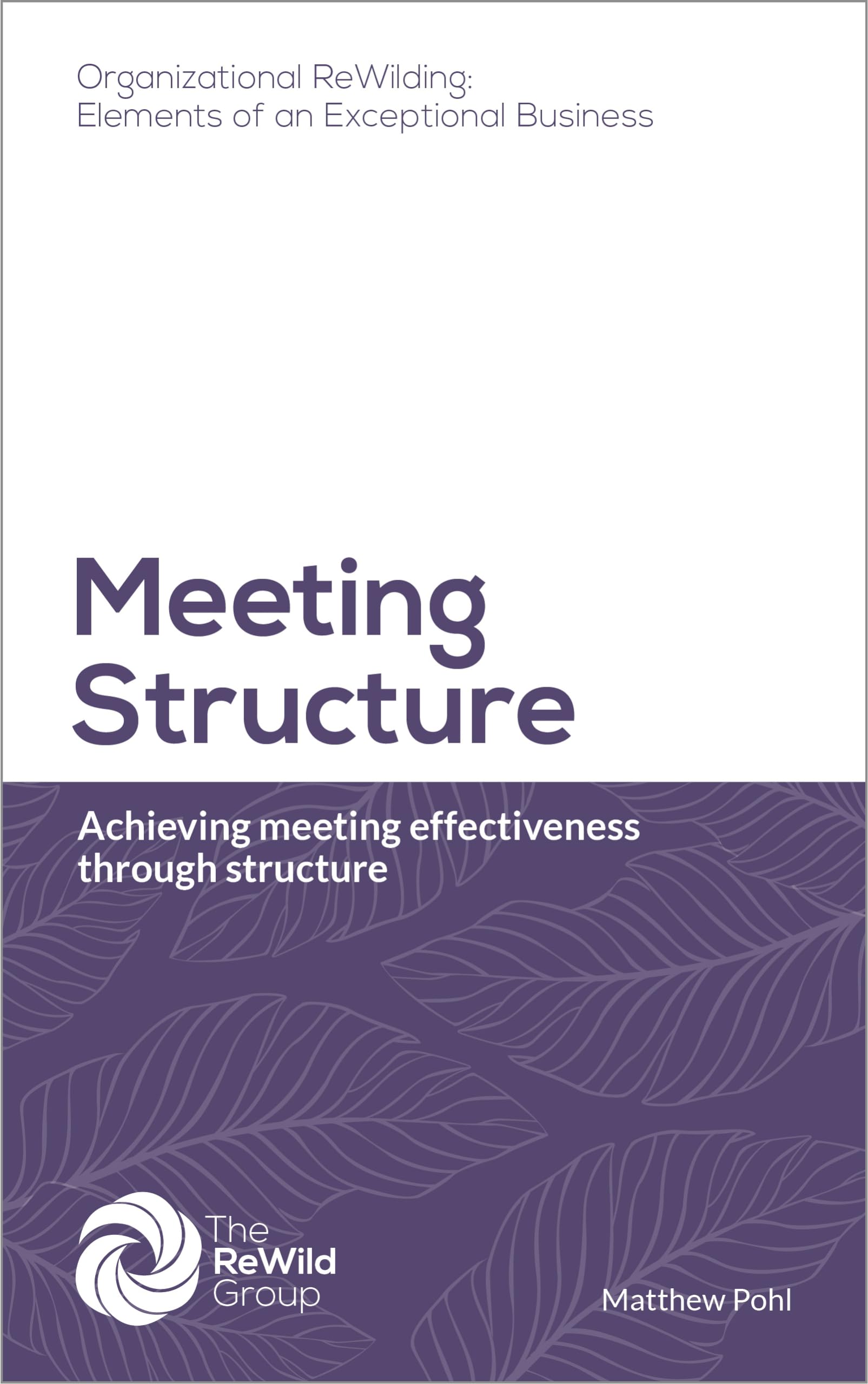 Meeting Structure: Achieving meeting effectiveness through structure by ...