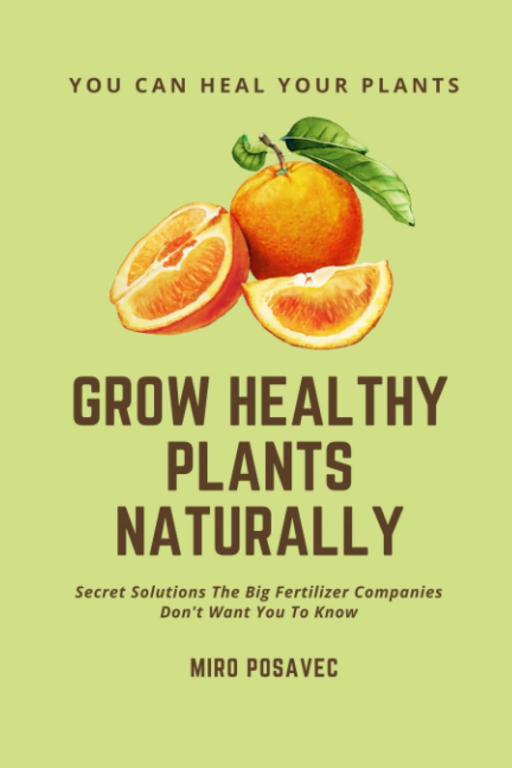 Grow Healthy Plants Naturally: Secret Solutions The Big Fertilizer ...