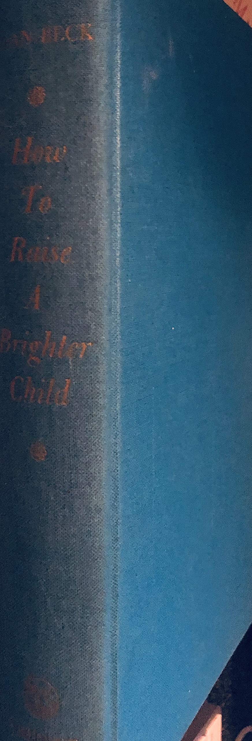 How to Raise a Brighter Child: The Case for Early Learning by Joan Beck ...