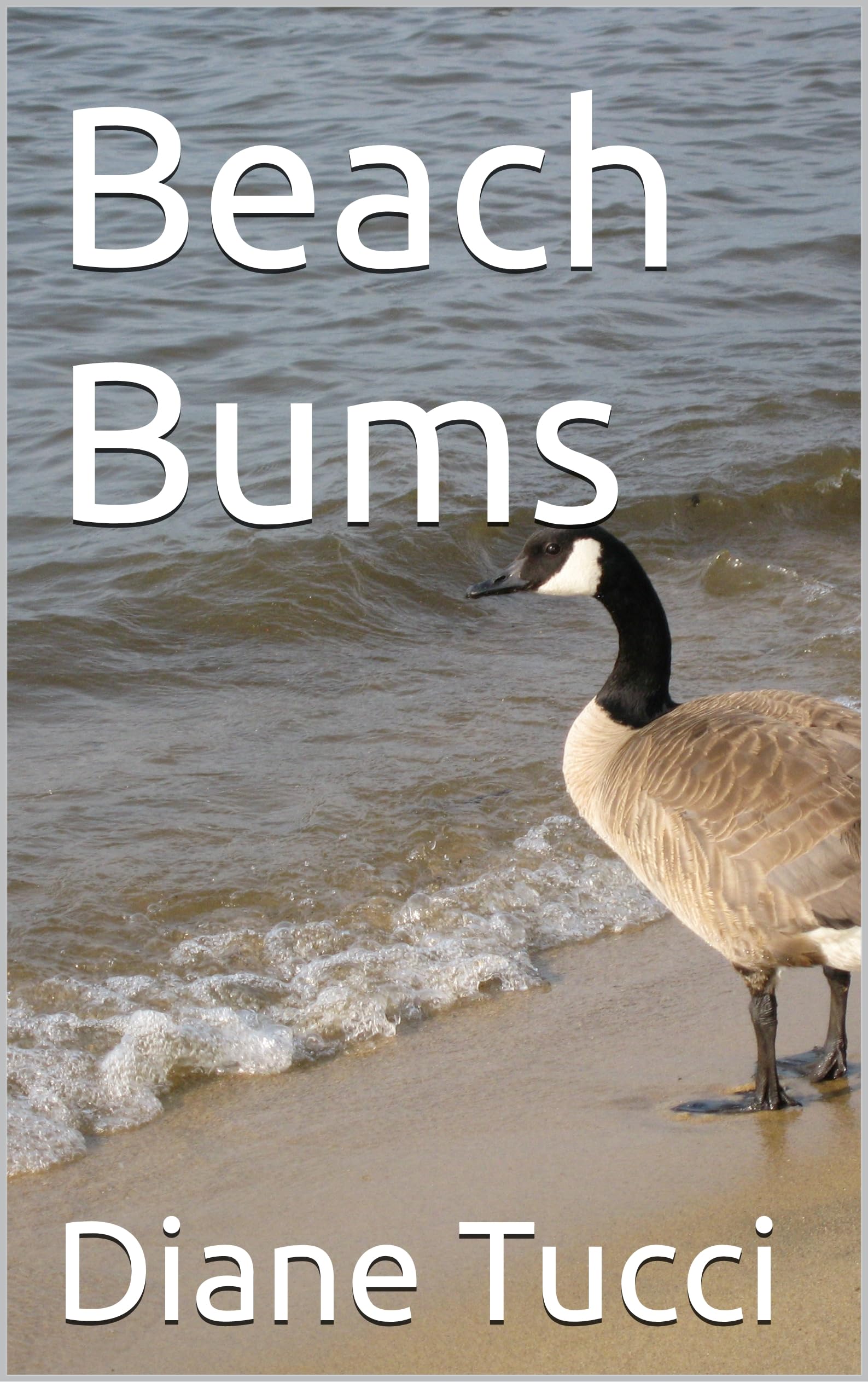 Beach Bums by Diane Tucci | Goodreads