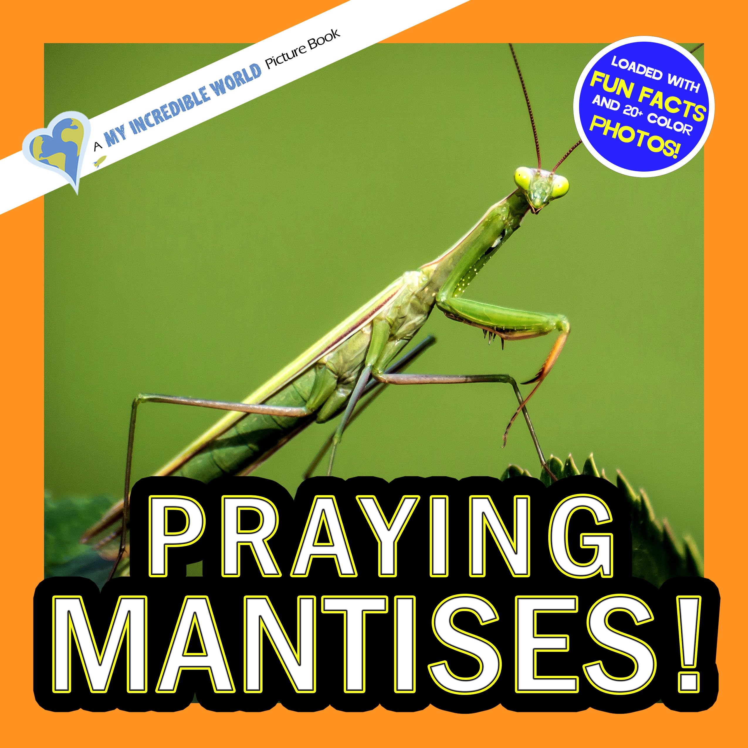 Praying Mantises!: A My Incredible World Picture Book for Children by ...