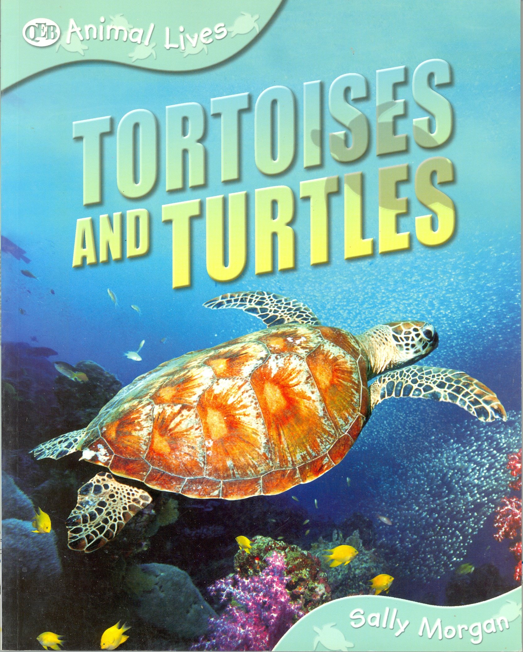 Tortoises and Turtles (Animal Lives) by Sally Morgan | Goodreads
