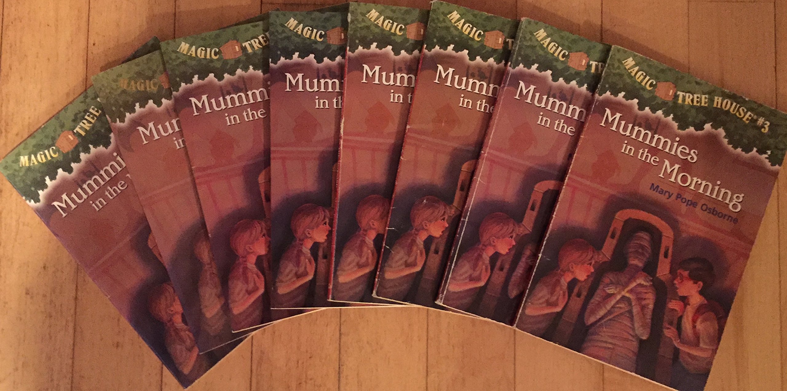 Magic Treehouse Mummies in the MorningBook #3 8Copies Class Reading ...
